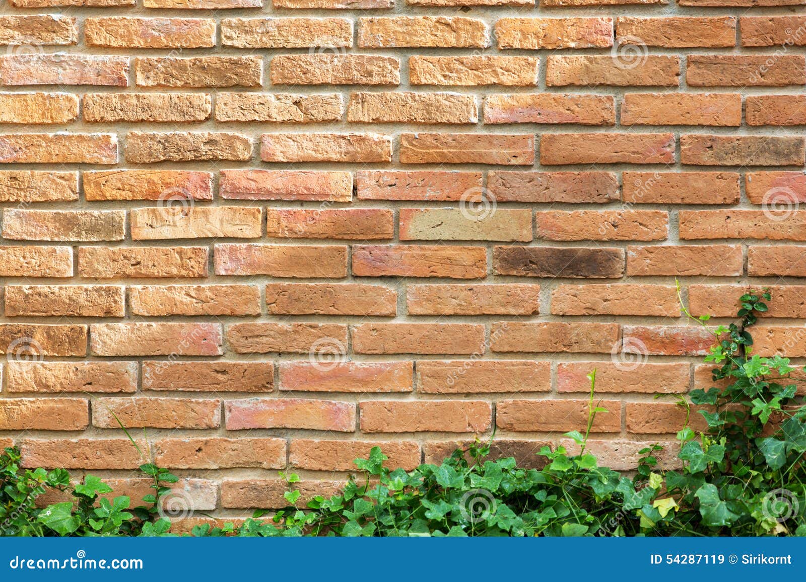 Leaves on Brick Wall for Wallpaper Stock Image - Image of natural ...