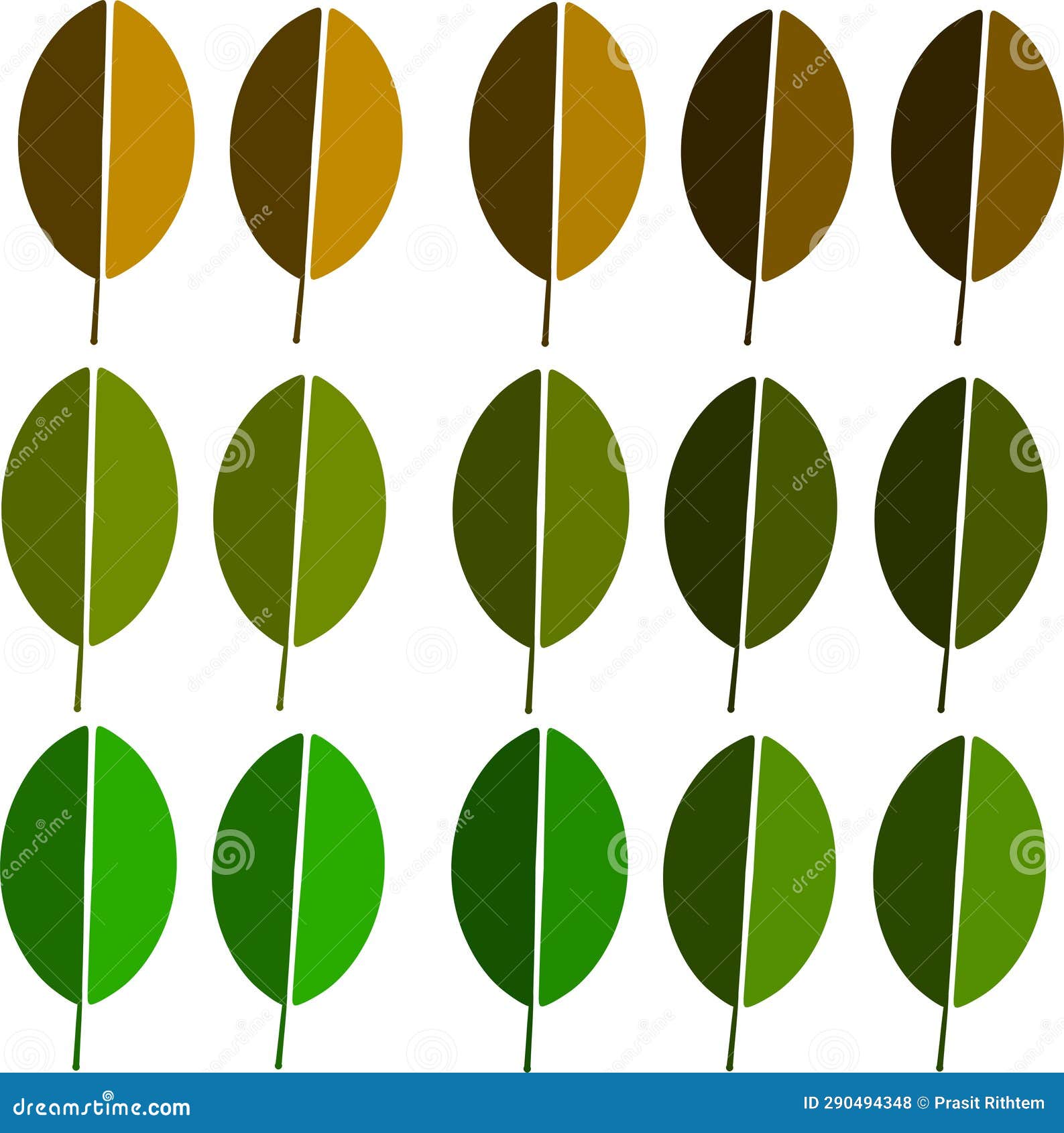Leaves Change Its Color through Time Vectors Stock Illustration ...