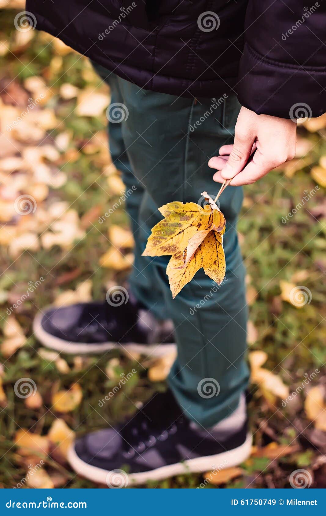 Leaves in children hand stock image. Image of brown, feet - 61750749