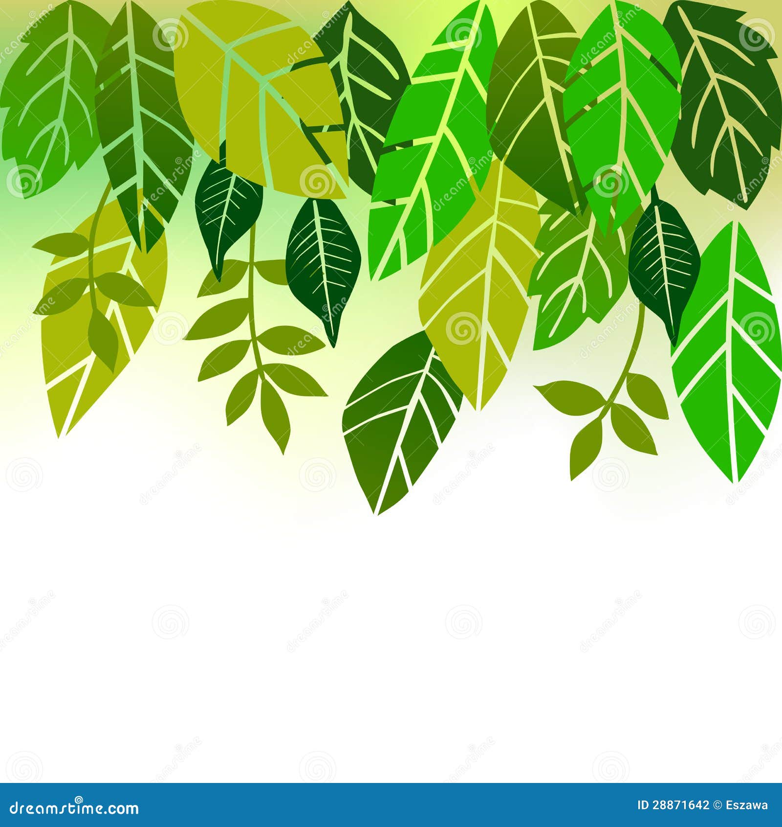 Leaves, Collection for Designers Stock Vector - Illustration of beauty ...