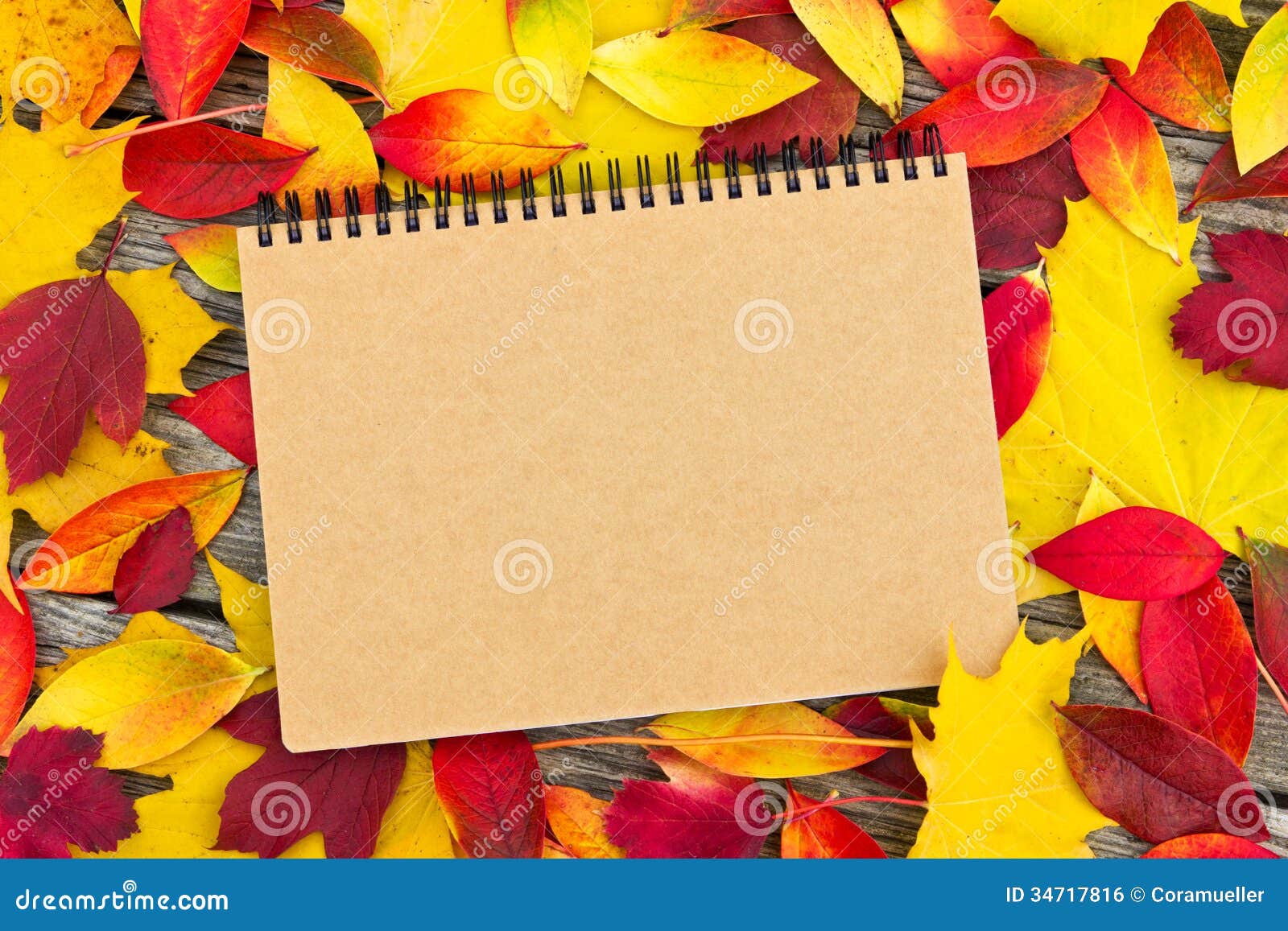 Leaves stock photo. Image of yellow, colorful, board - 34717816