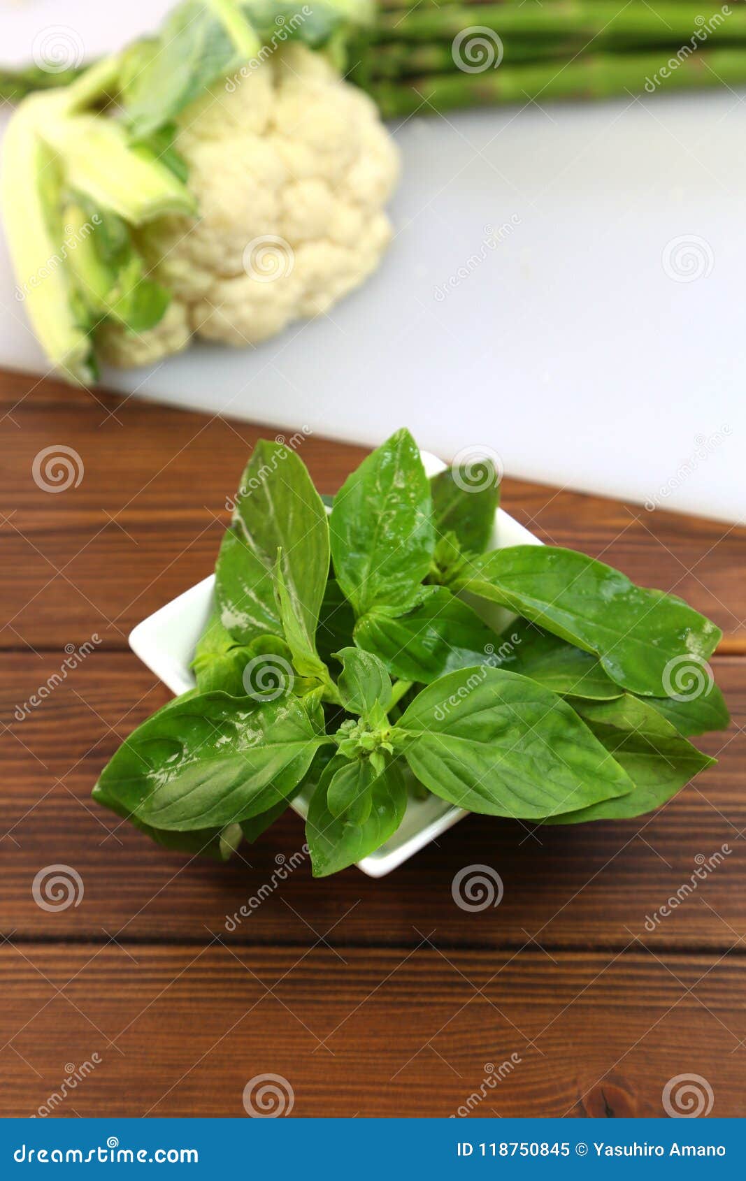 Leaf of the Basil Which I Served in a Plate Stock Image - Image of ...