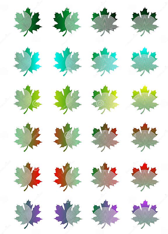 Leaves Concept - Cdr Format Stock Vector - Illustration of collection ...