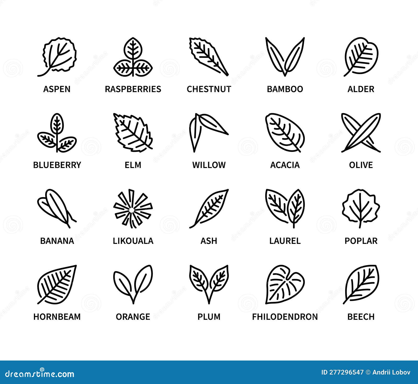 Leaves of Different Plants Vector Linear Icon Set. Isolated Icon ...