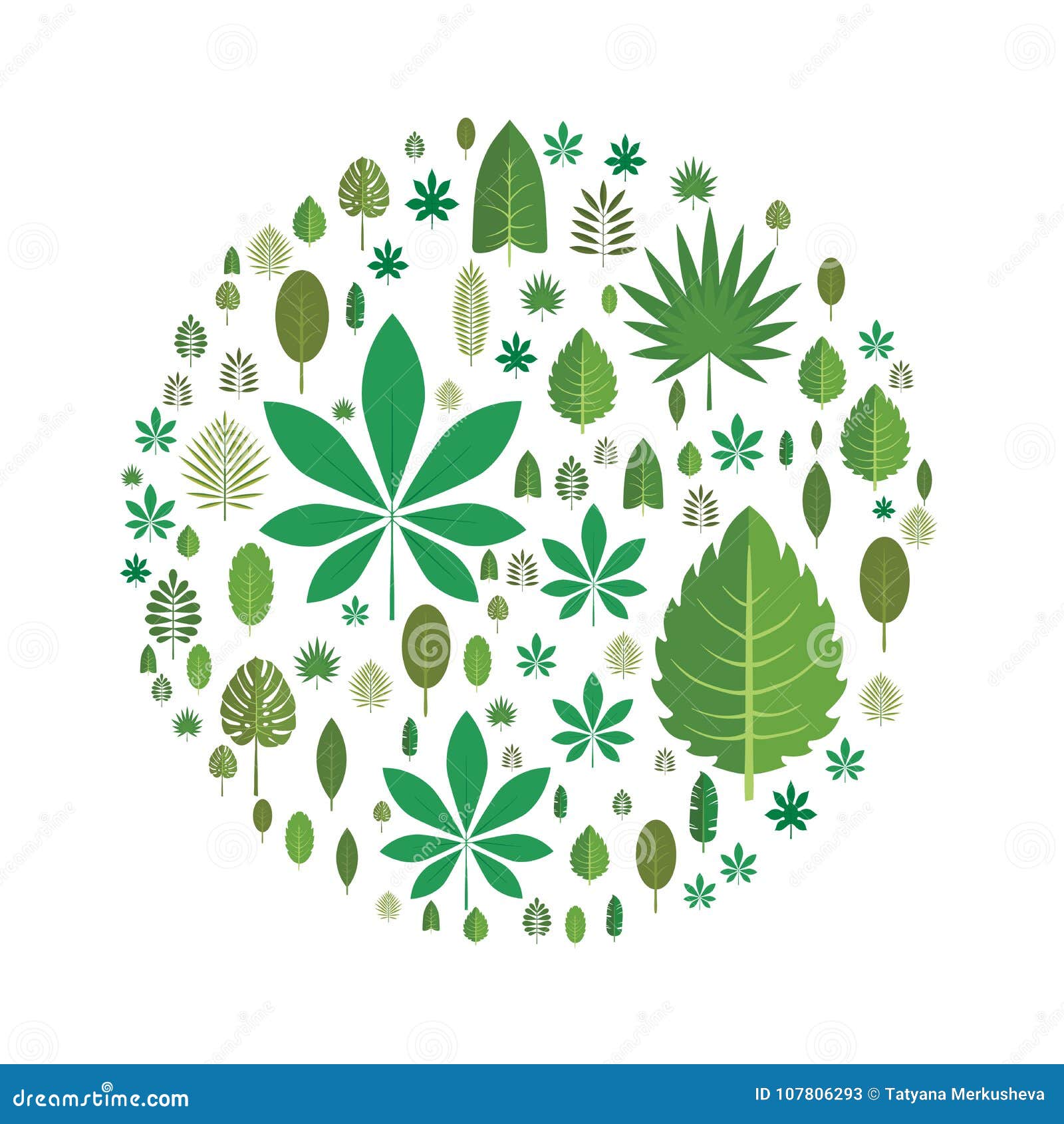 The Leaves of Different Trees Arranged in the Shape of a Circle. Design ...