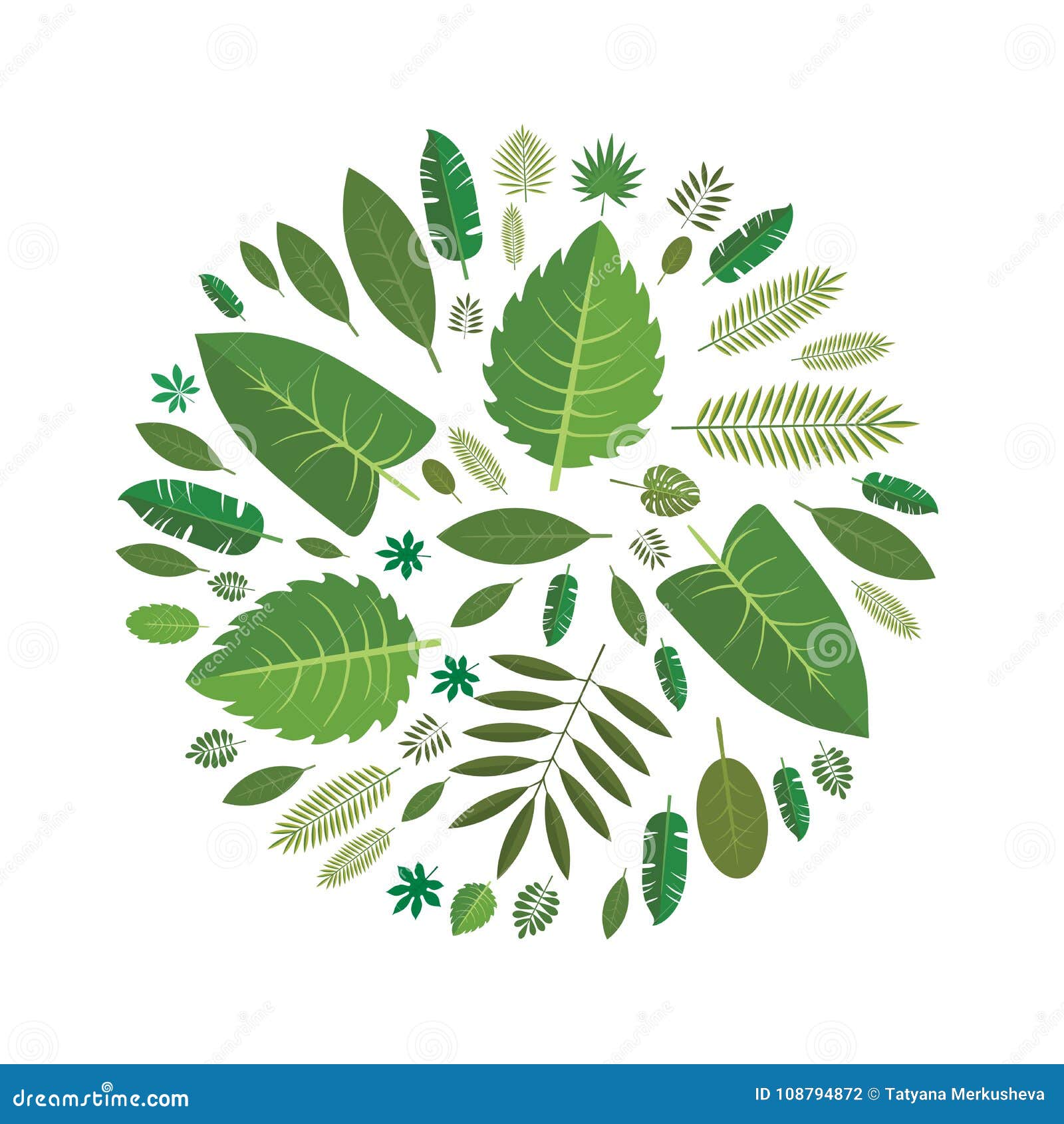 The Leaves of Different Trees Arranged in the Shape of a Circle. Design ...
