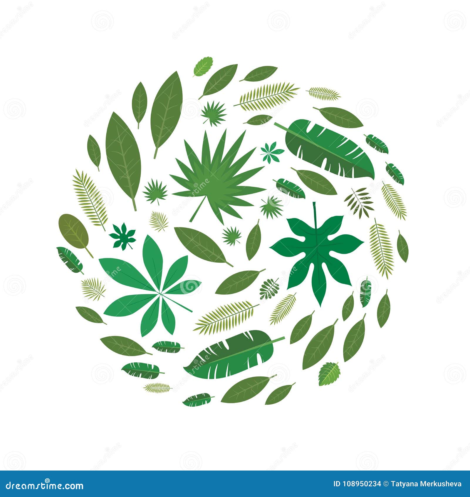 The Leaves of Different Trees Arranged in the Shape of a Circle. Design ...