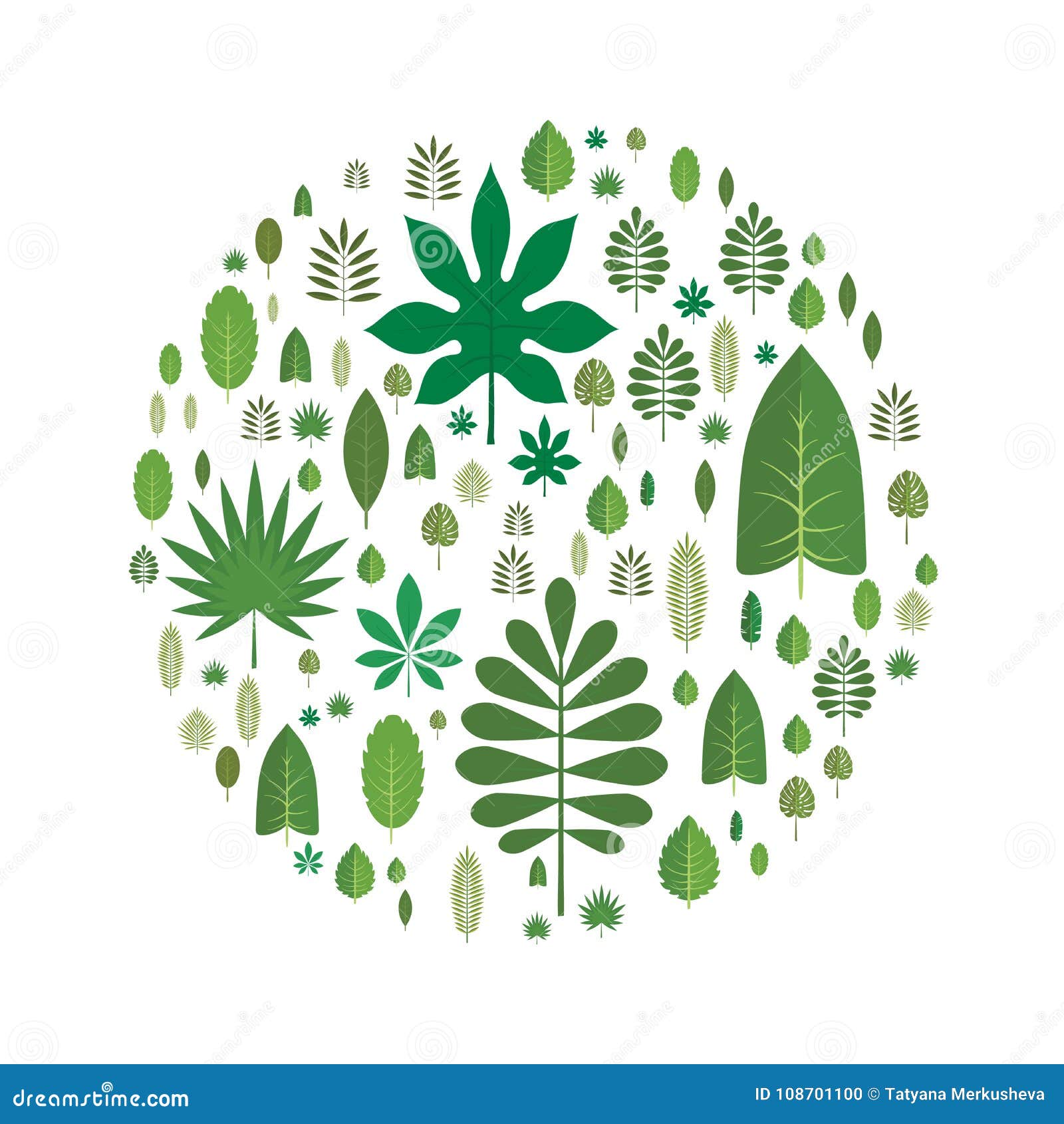 The Leaves of Different Trees Arranged in the Shape of a Circle. Design ...