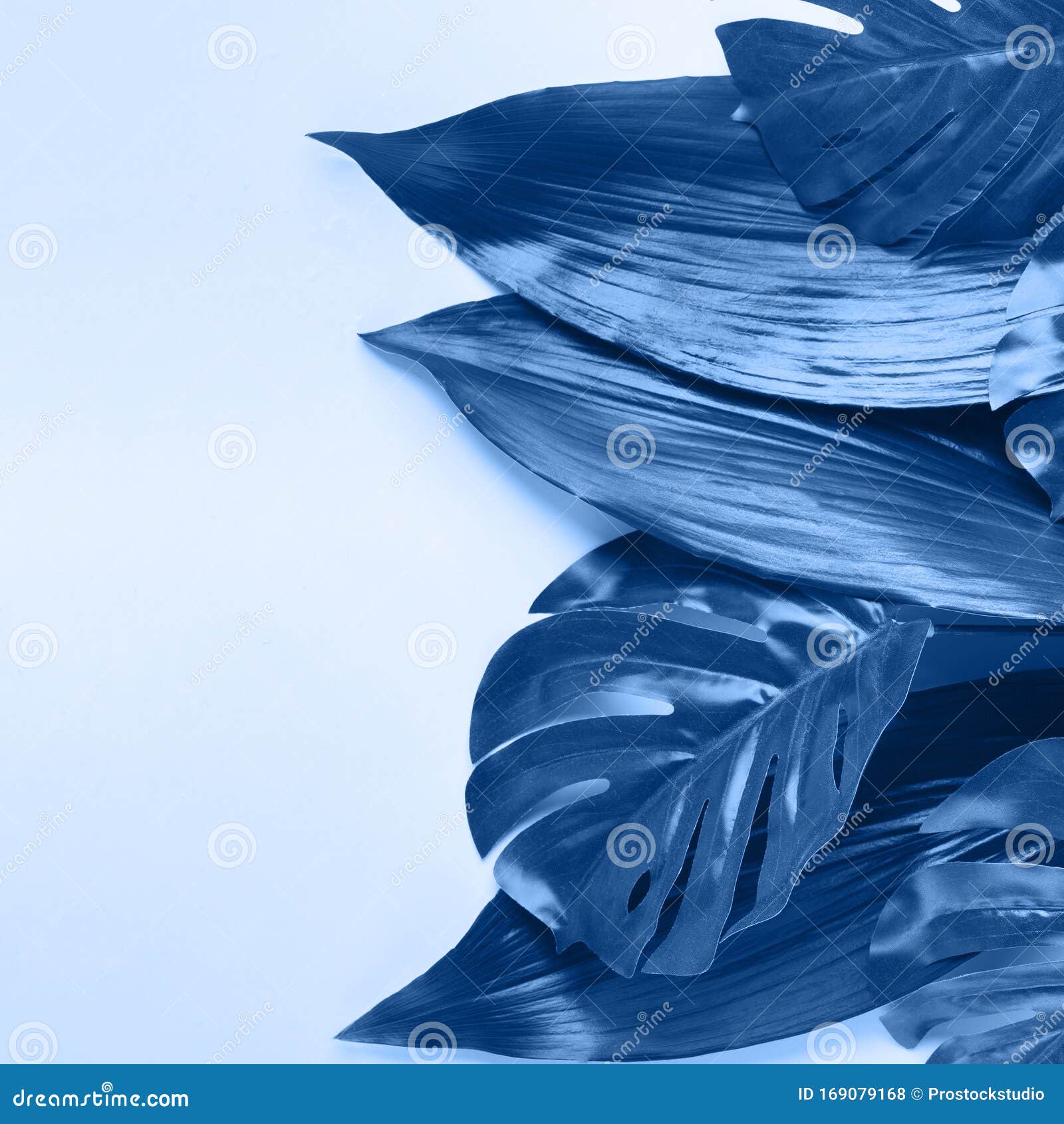 Leaves of Diverse Plants with Empty Space for Advertisement Stock Photo ...