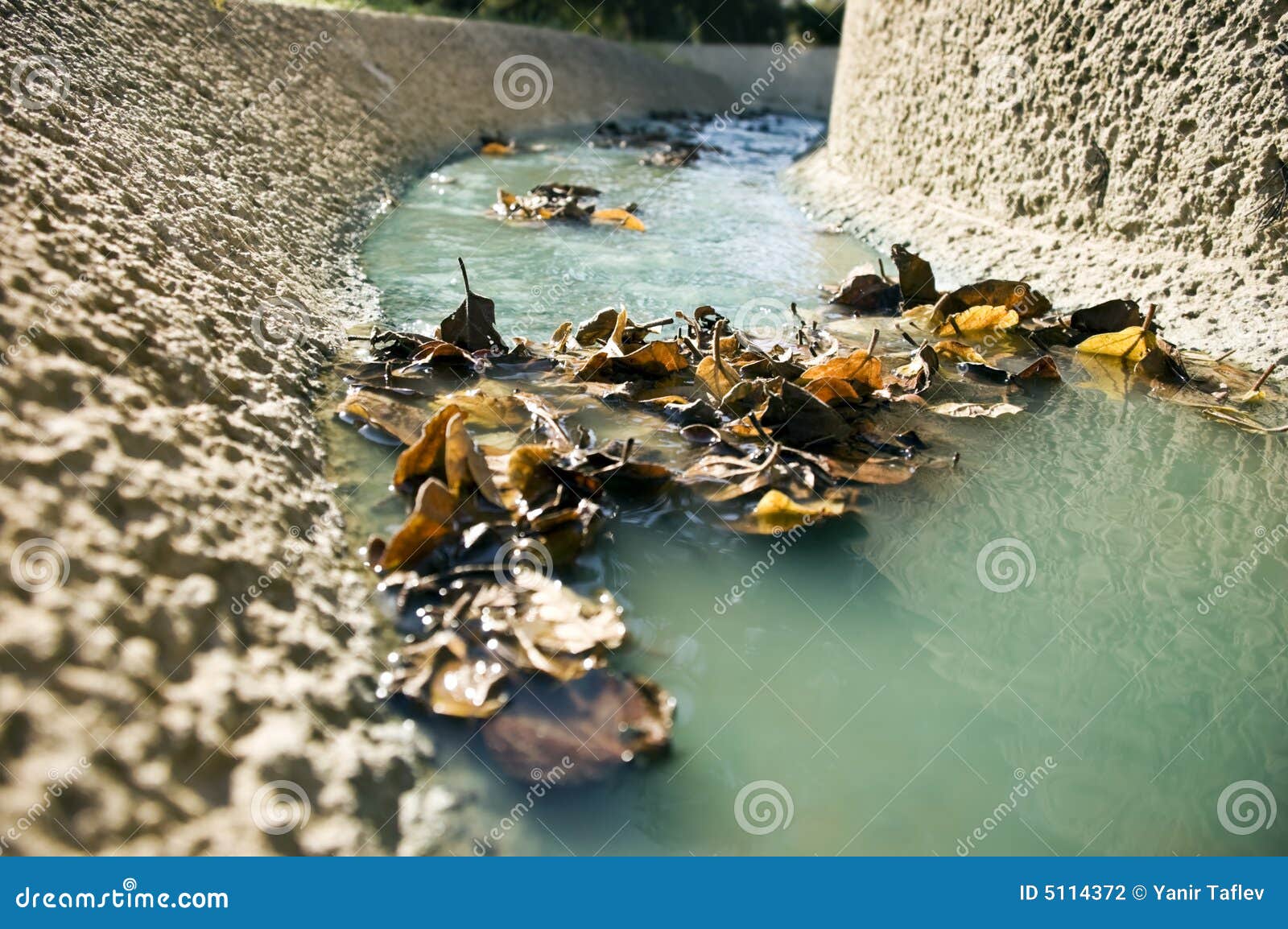 Leaves in drainage ditch stock photo. Image of blockage - 5114372