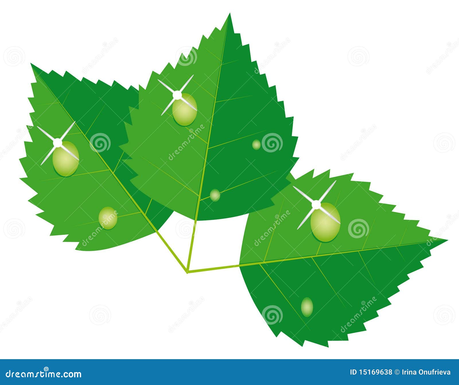 Leaves with drops of dew stock vector. Illustration of nature - 15169638