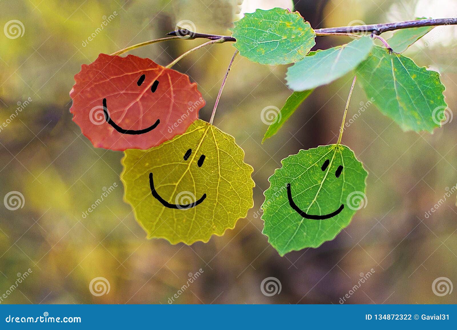 Leaves with face pictures stock photo. Image of forest - 134872322