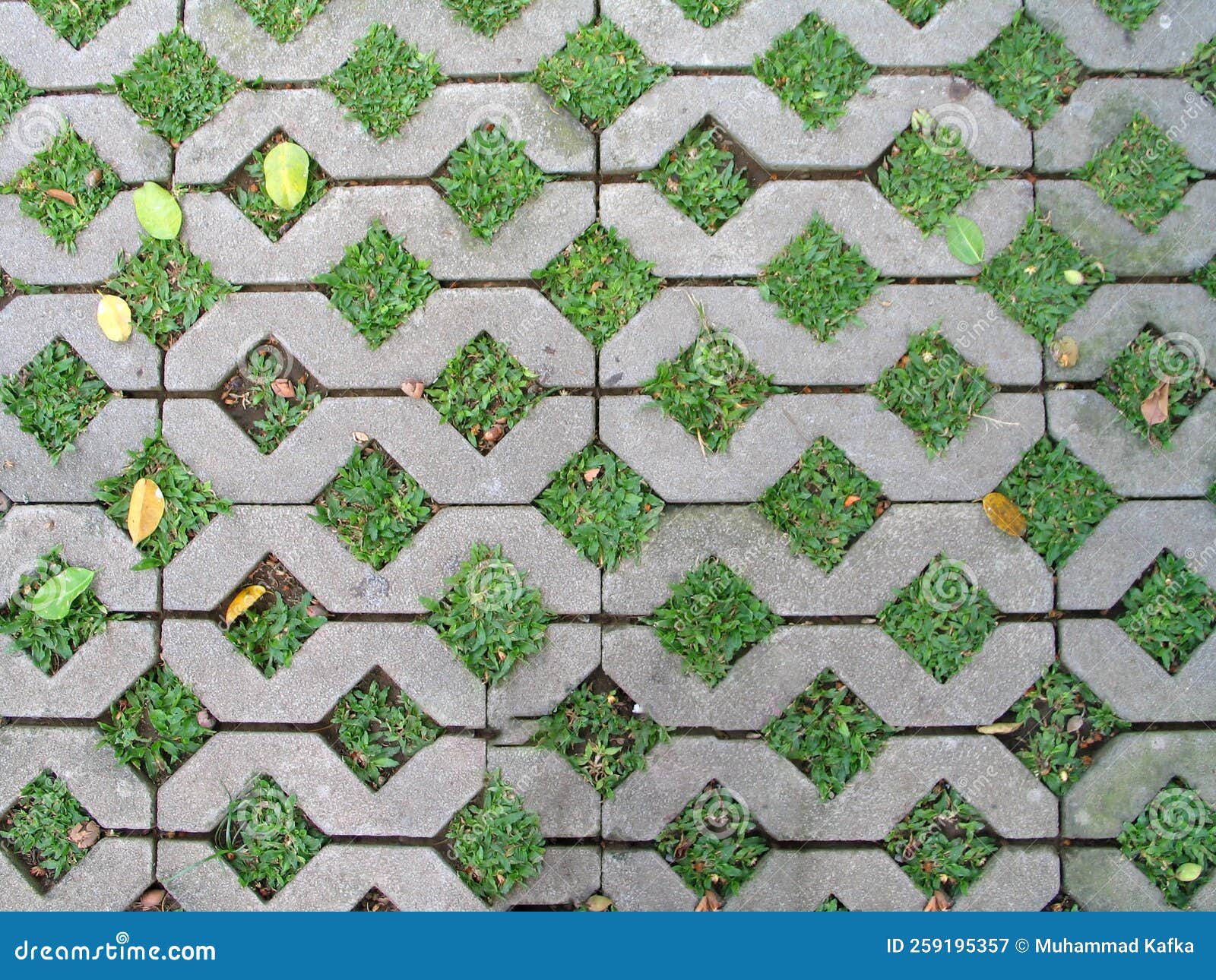 Fallen Leaves on a Grass Paver Pattern Stock Image - Image of line ...