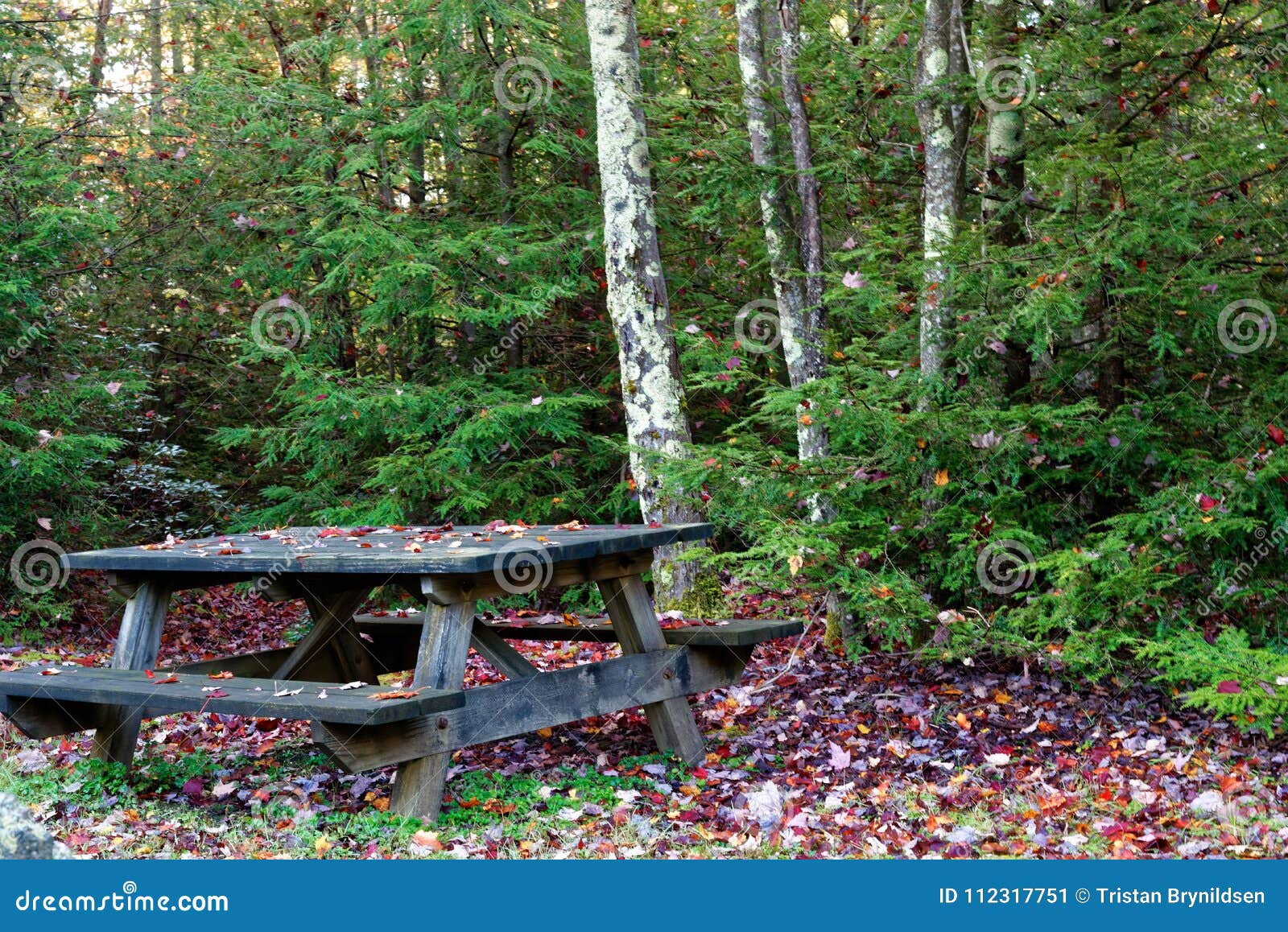 Leaves Falling Over a Picnic Table in the Fall Stock Image - Image of ...