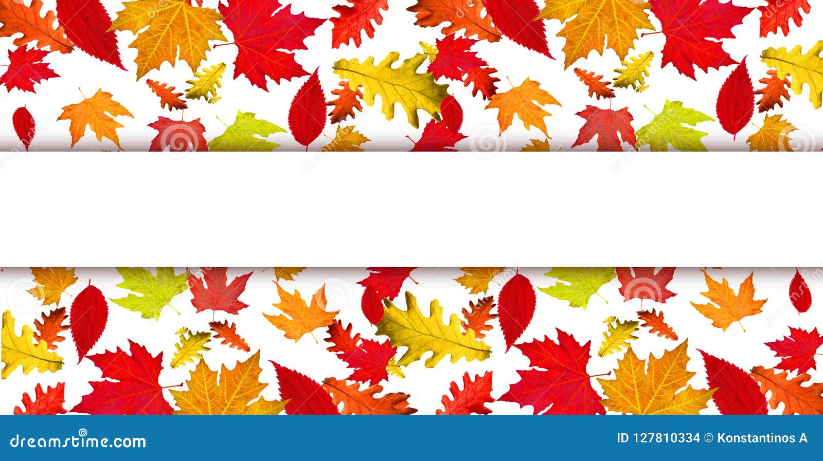 Leaves Falling Strip Autumn Background Stock Photo - Image of isolated ...