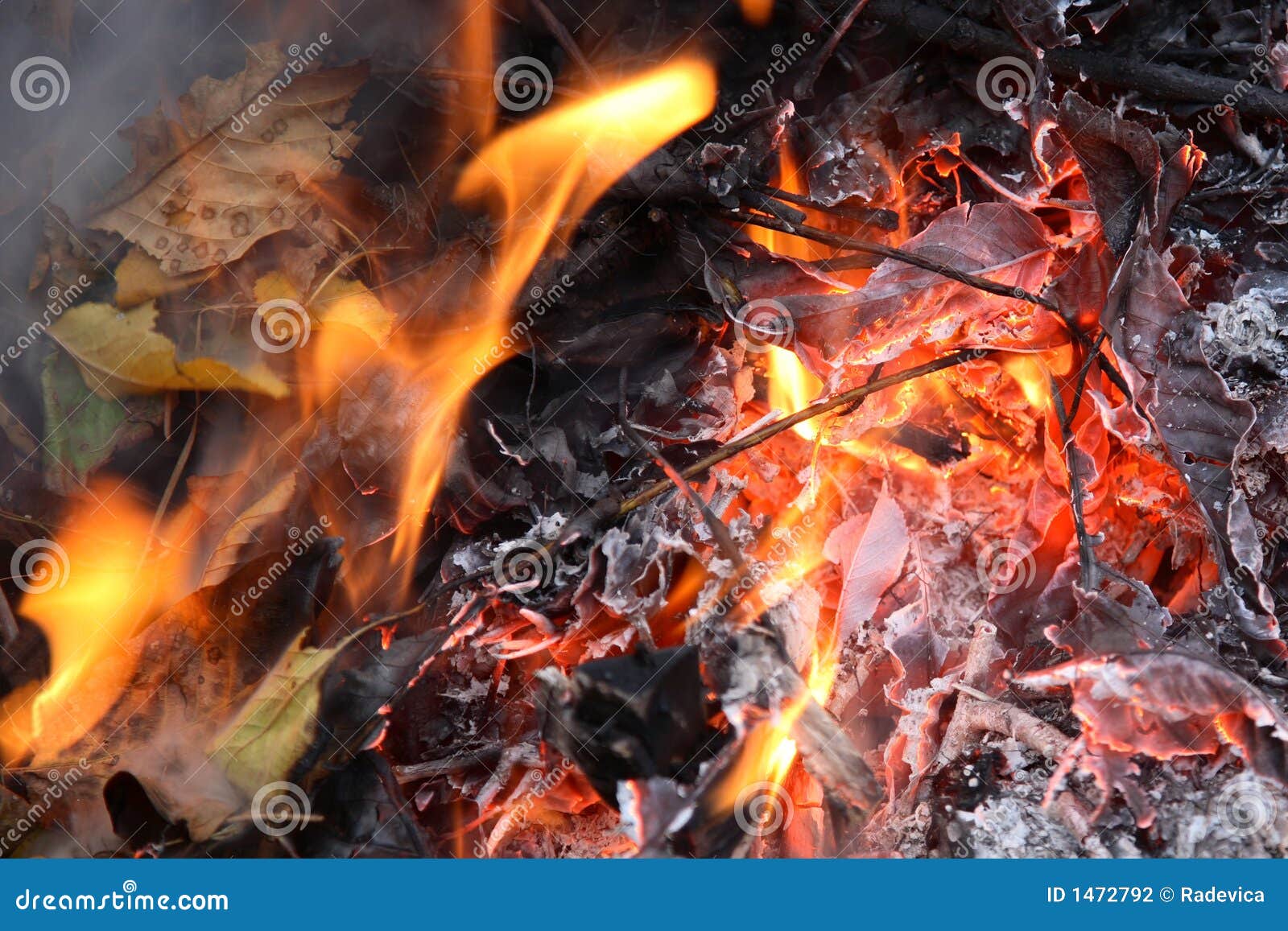 Leaves in flames stock photo. Image of burning, fire, element - 1472792