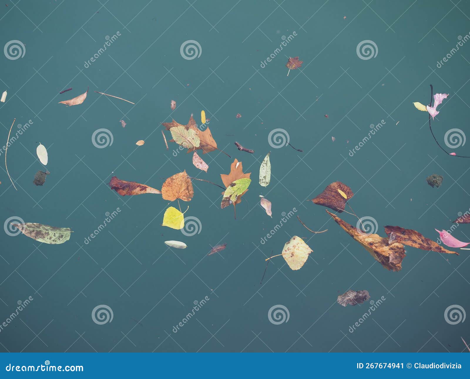 Leaves Floating on River Water Stock Image - Image of flowing, lake ...