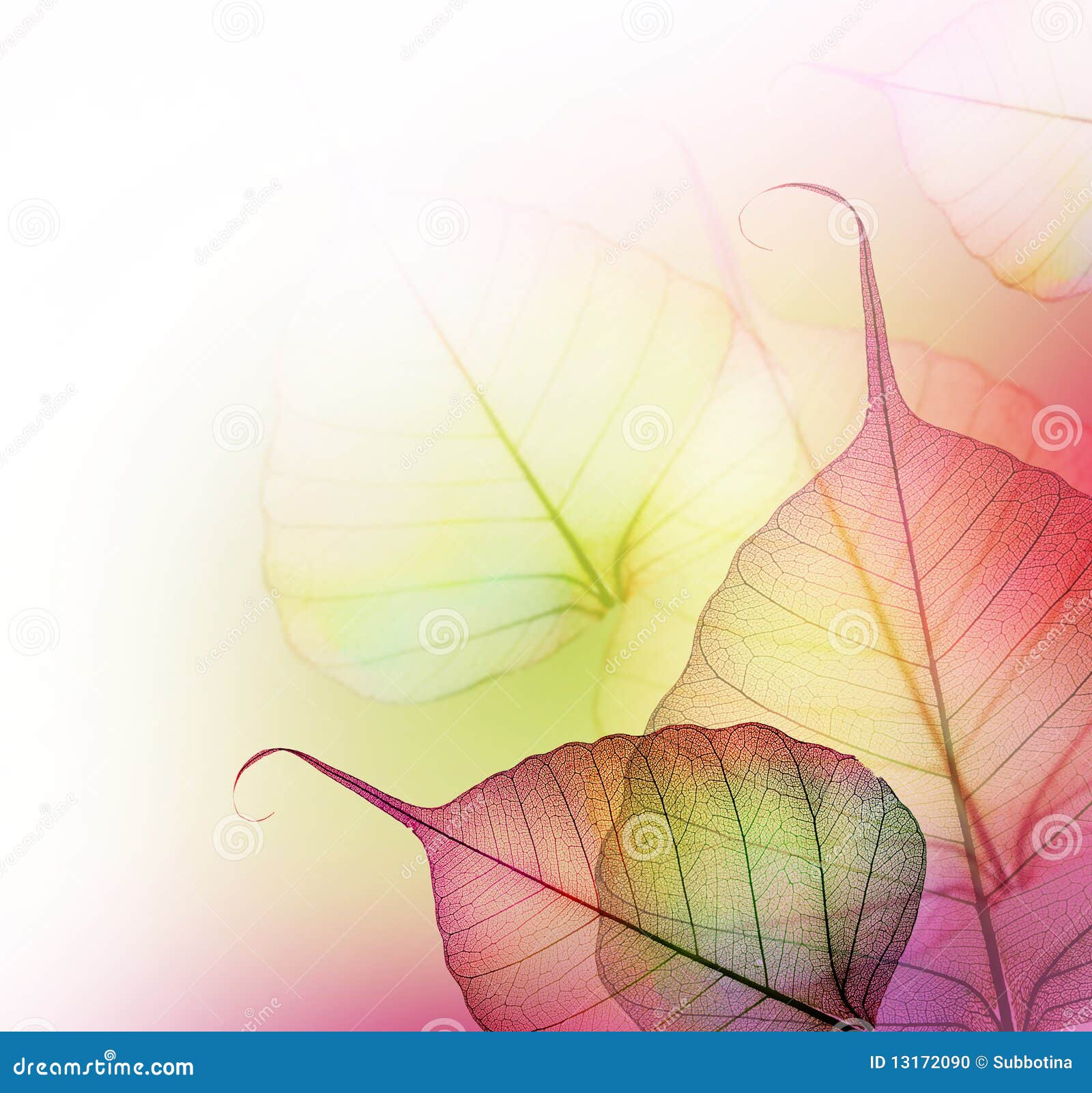 Leaves.Floral design stock illustration. Illustration of copyspace ...