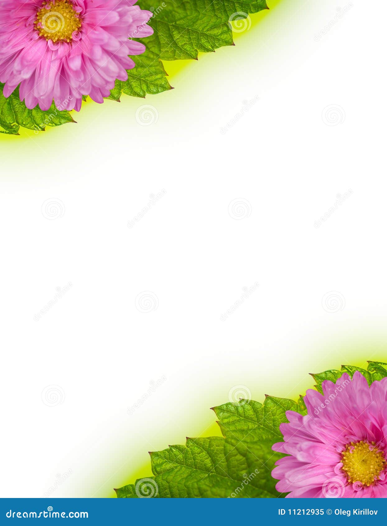 Leaves and Flower in Framework Stock Illustration - Illustration of ...
