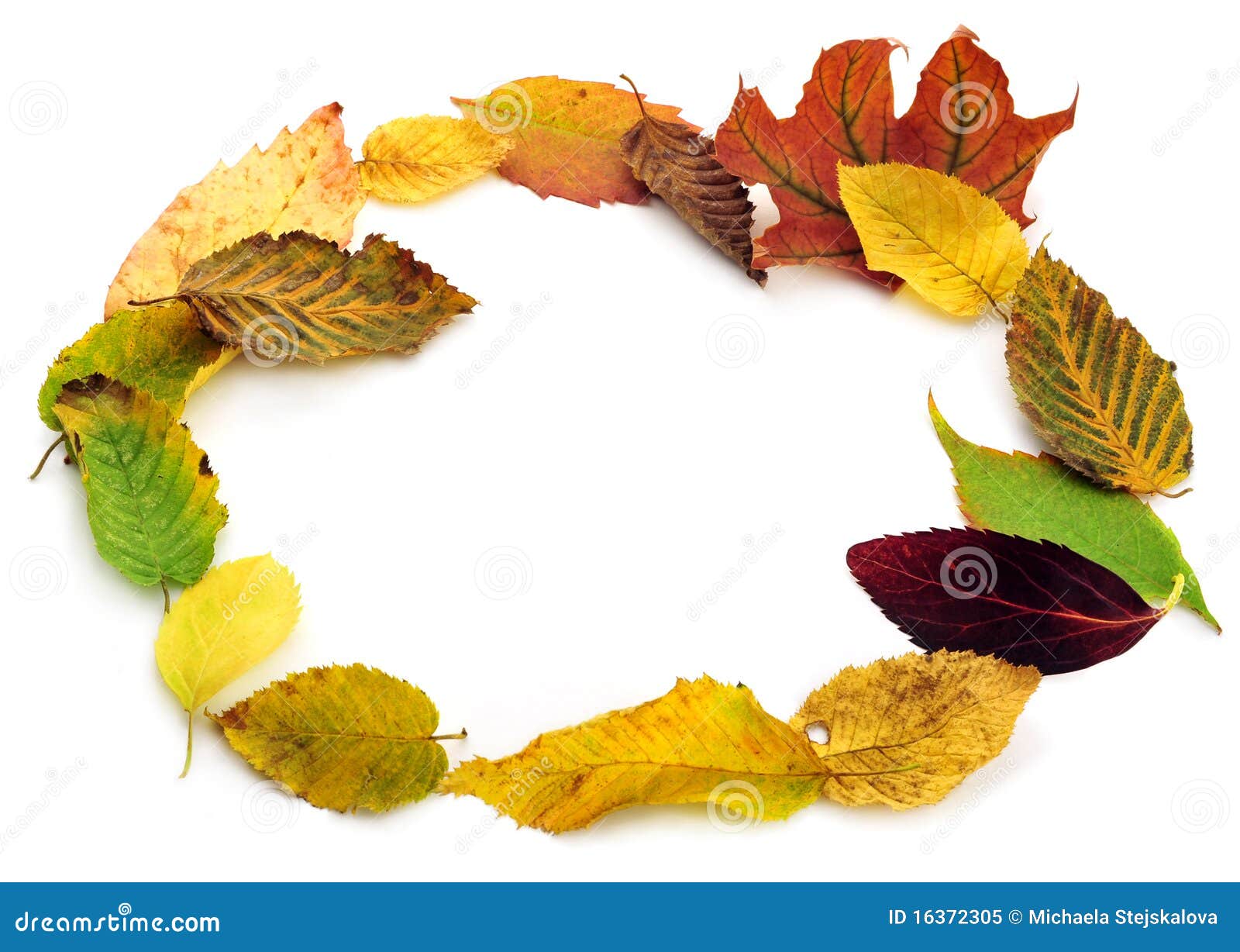Leaves frame stock image. Image of color, close, environment - 16372305