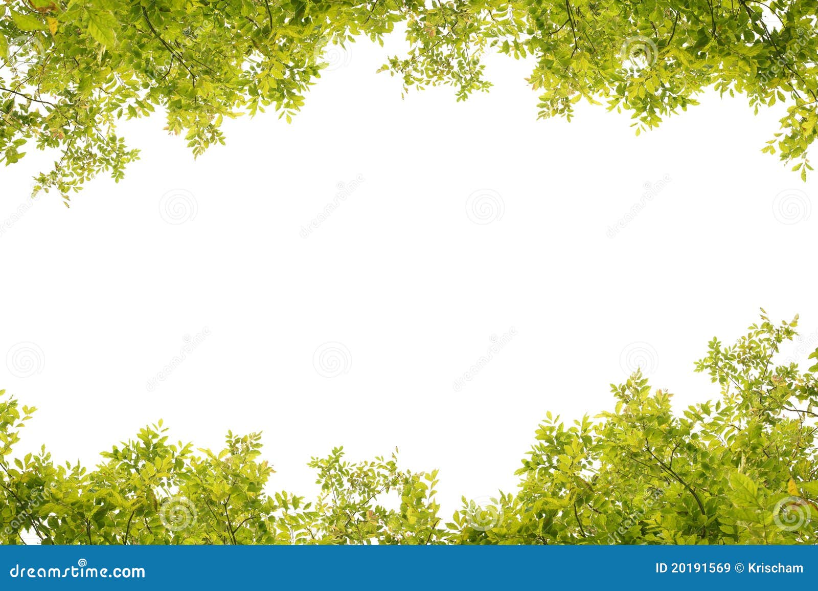Leaves frame stock image. Image of decorative, foliage - 20191569
