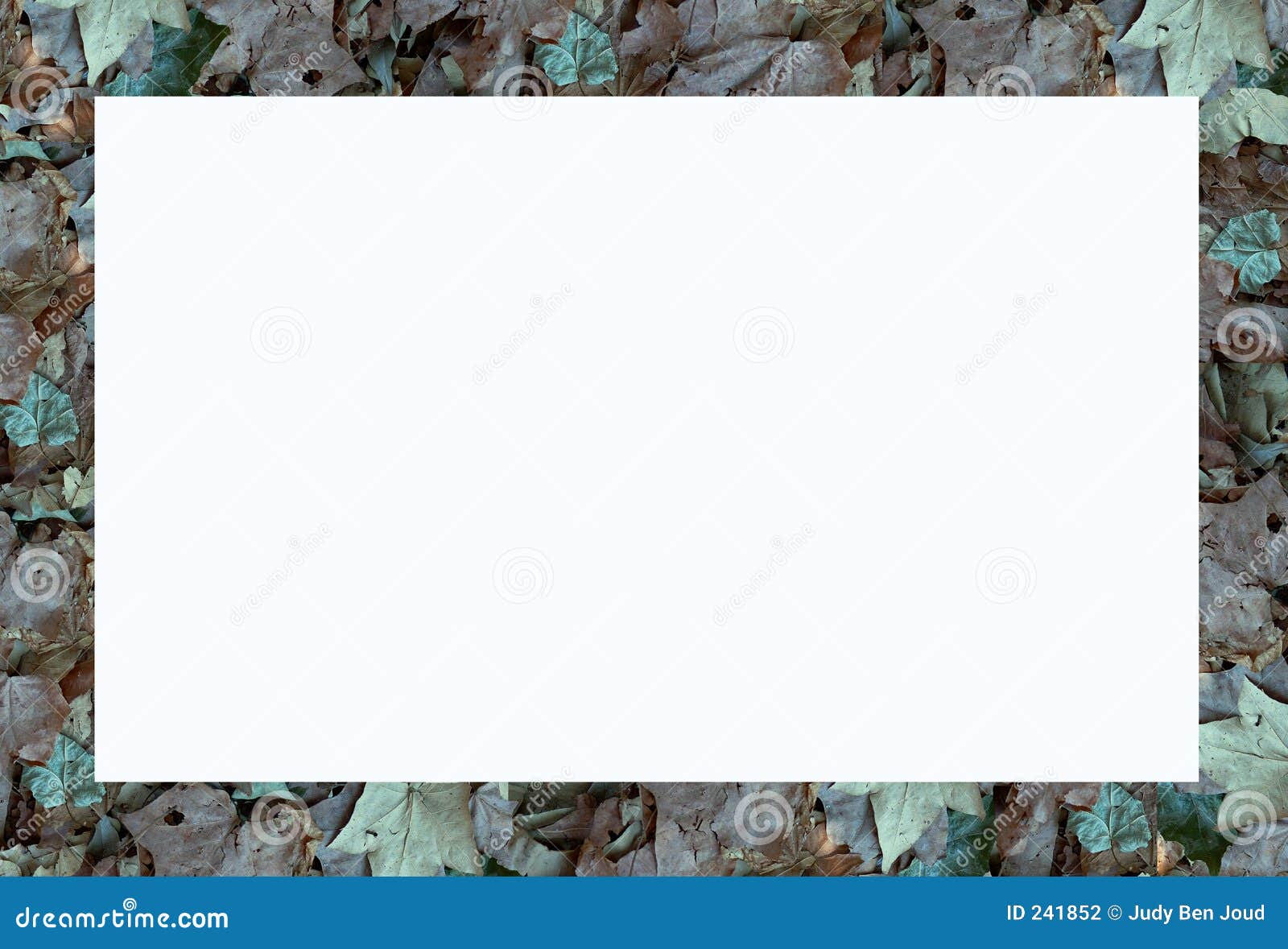 Leaves frame stock illustration. Illustration of colors - 241852