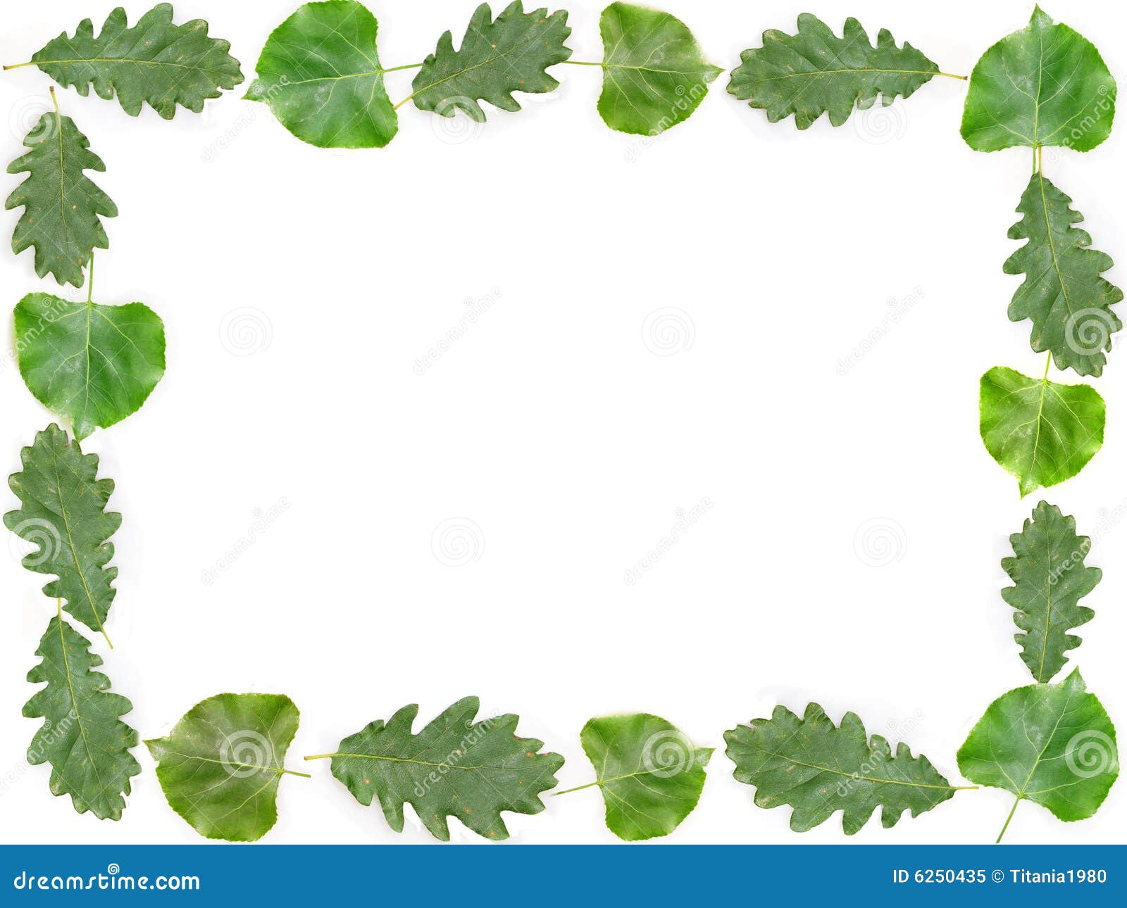 Leaves frame stock image. Image of trees, framing, background - 6250435