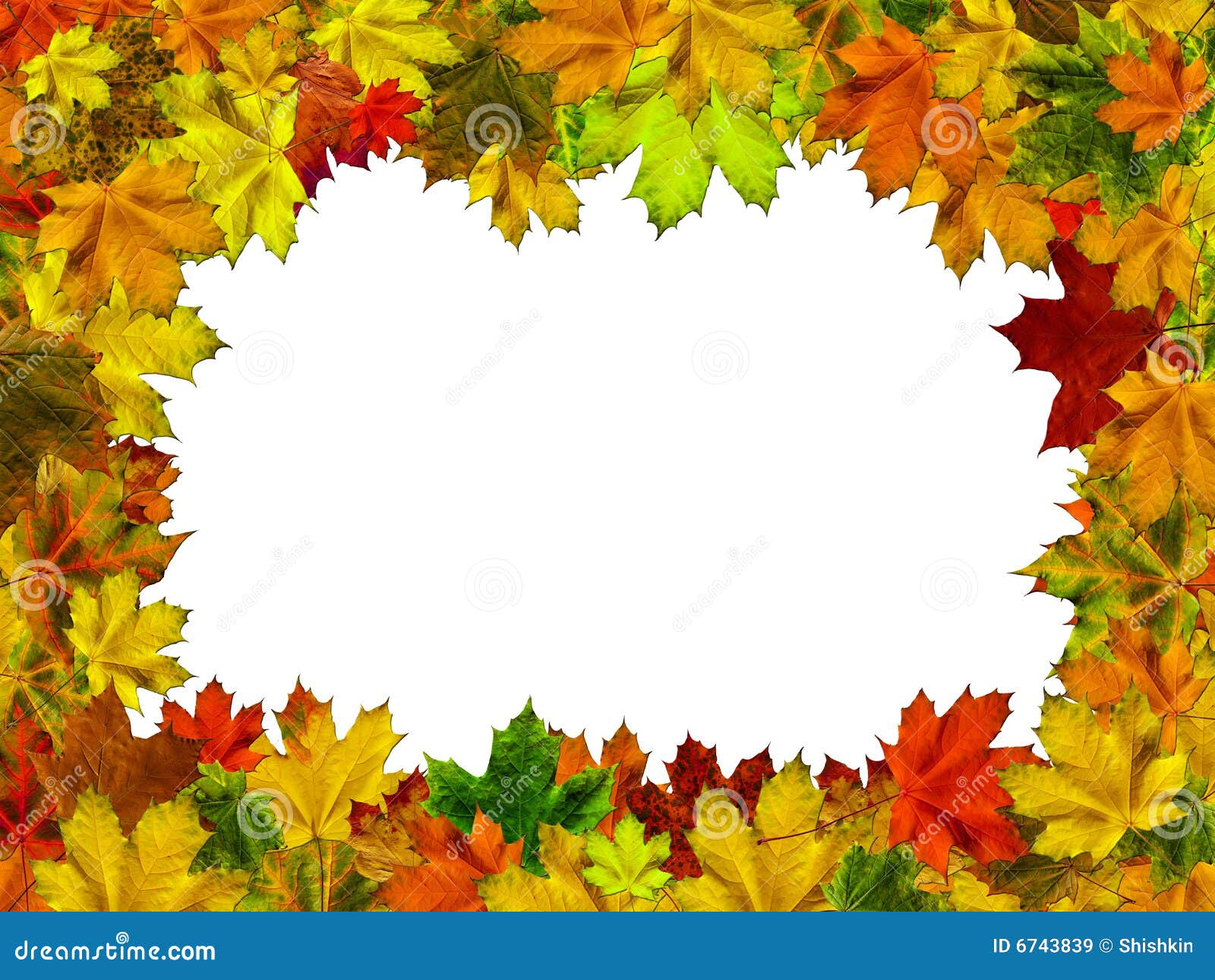 Leaves frame stock image. Image of change, garden, leaf - 6743839