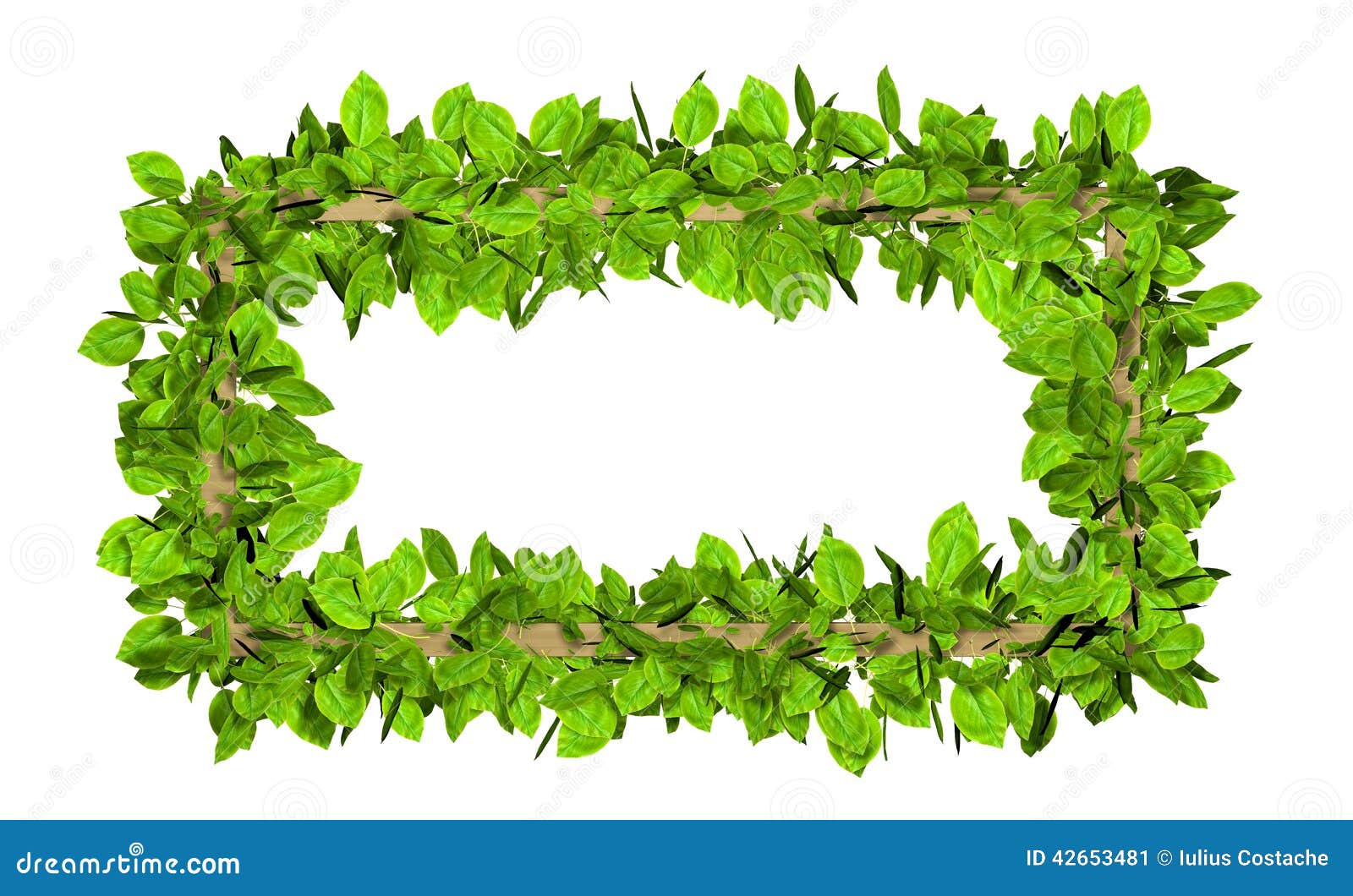 Leaves frame stock image. Image of green, white, tree - 42653481