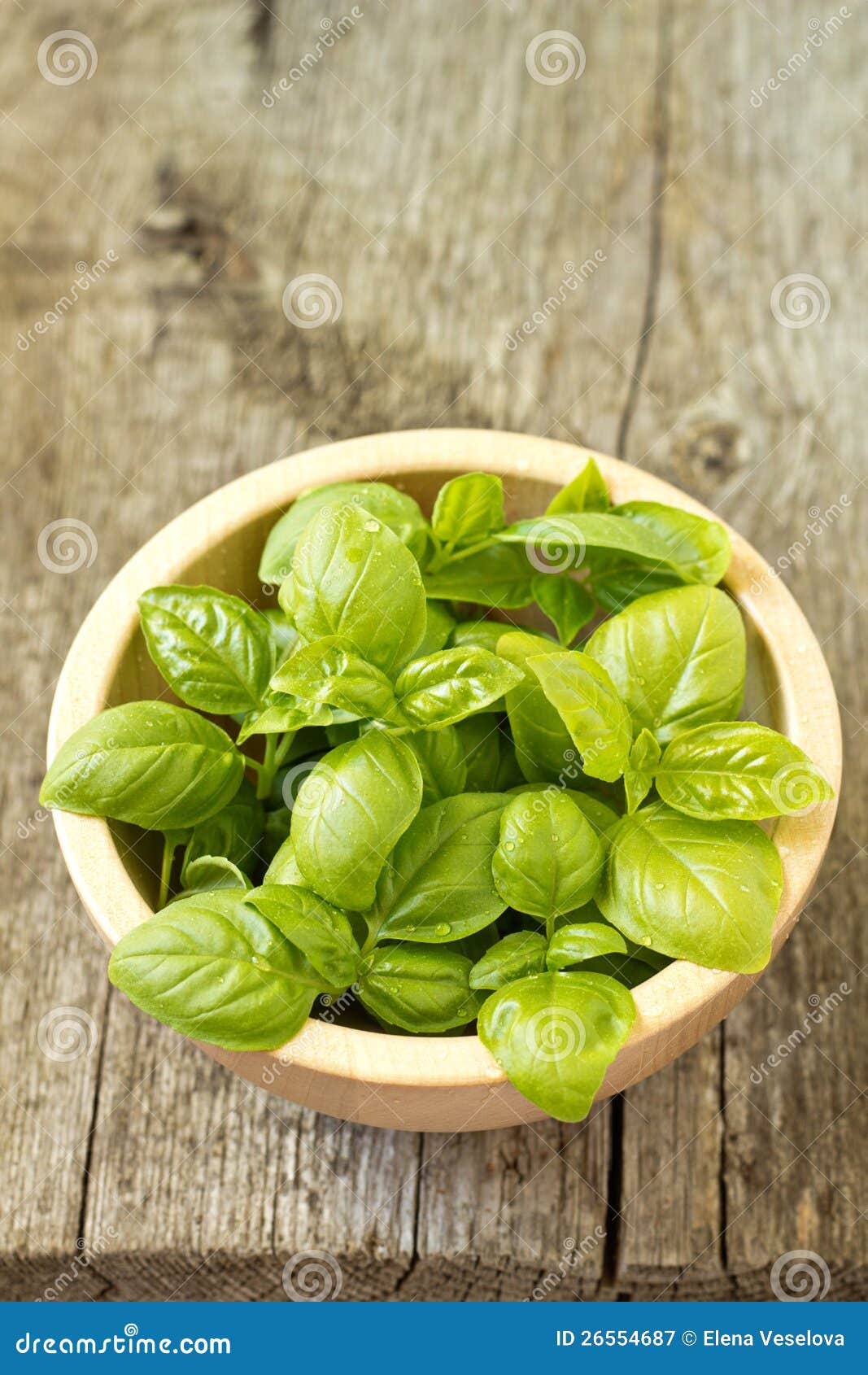 Leaves of Fresh Basil in a Bowl Stock Image - Image of freshness, bowl ...