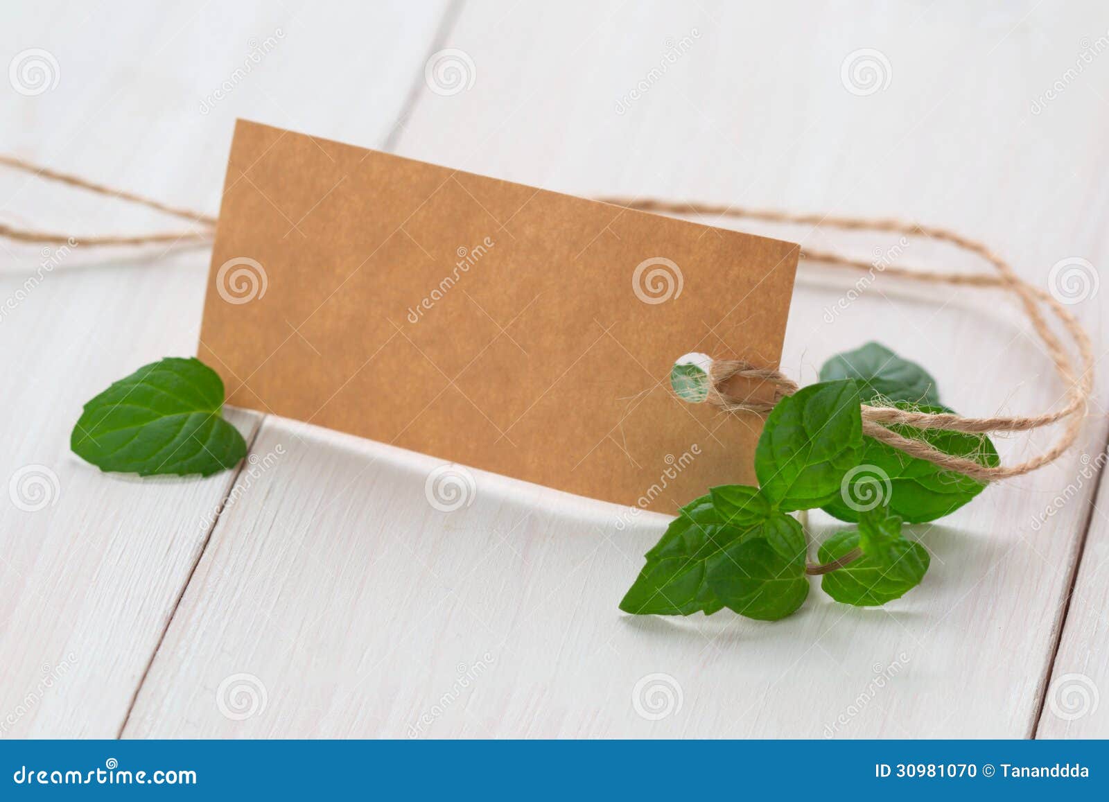 Leaves of Fresh Mint with Blank Tag Stock Photo - Image of green ...