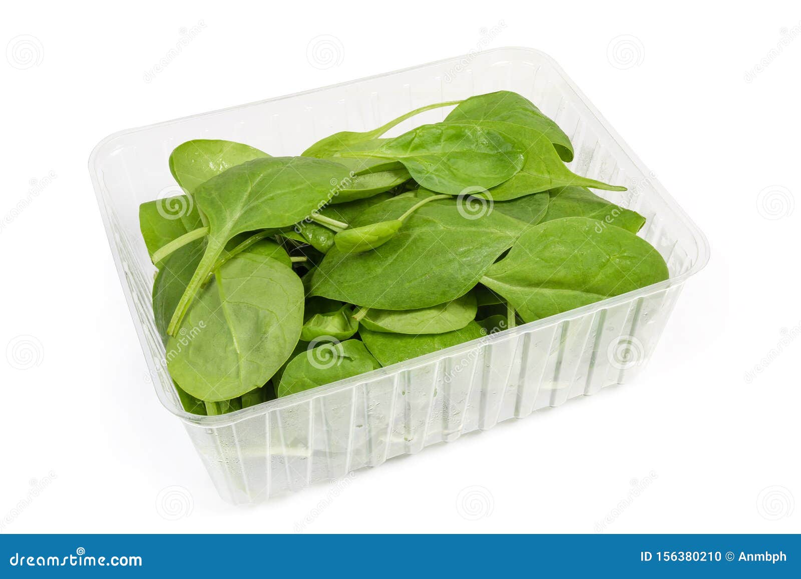 Leaves of Fresh Spinach in Plastic Container on White Background Stock ...