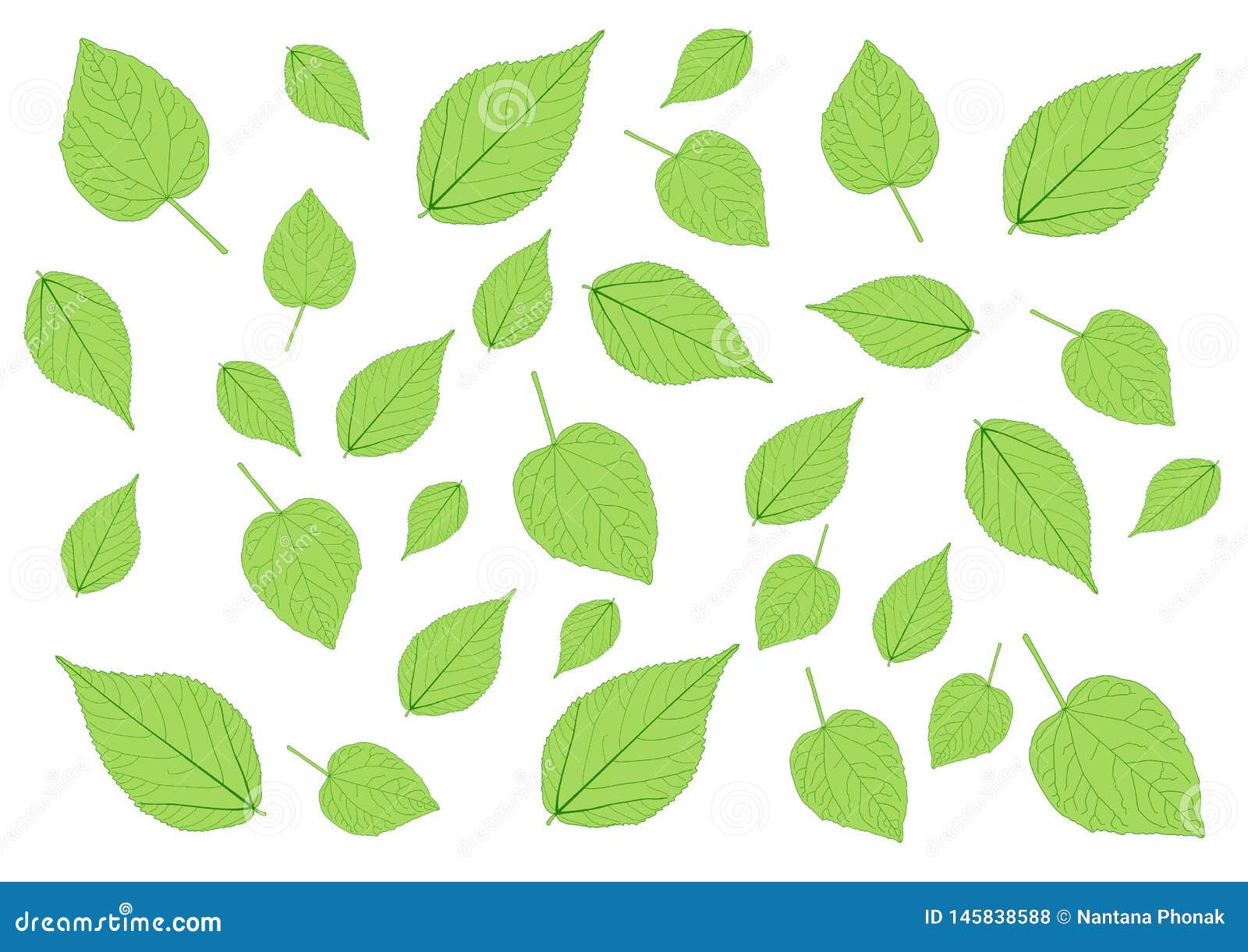 Leaves Green Pattern on White Background Stock Illustration ...