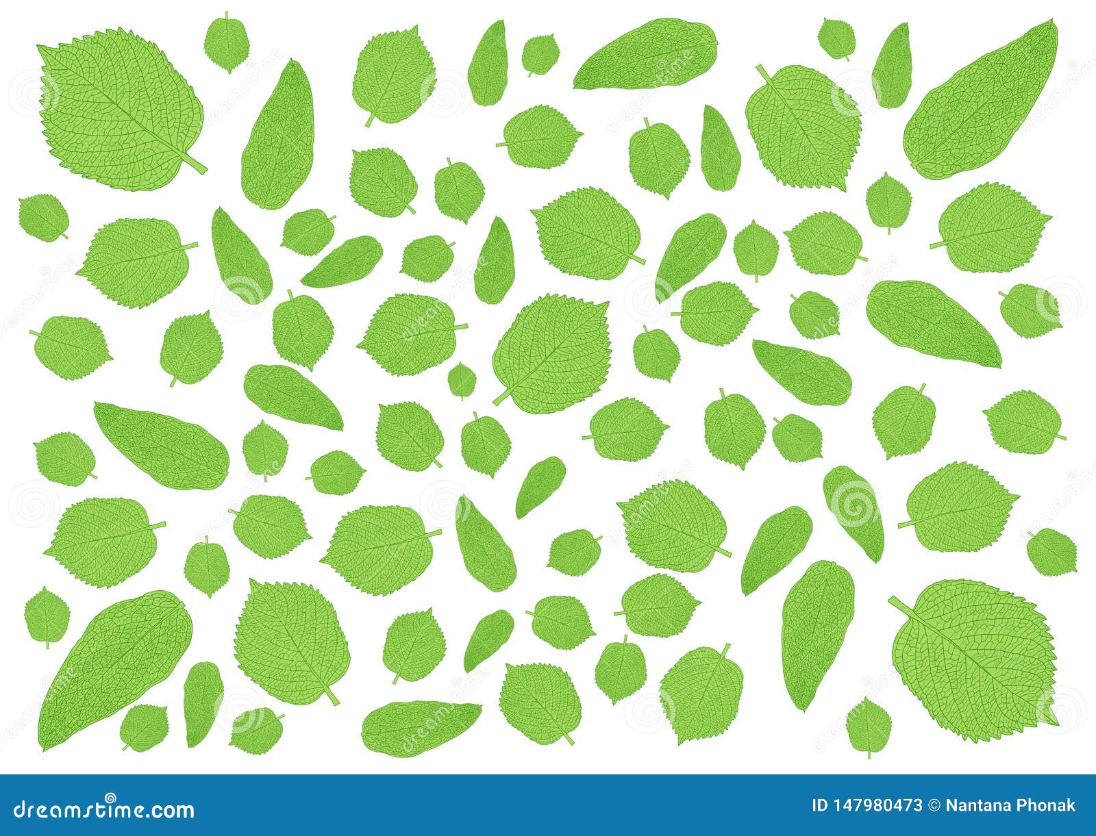 Leaves Green Pattern on White Background Stock Illustration ...