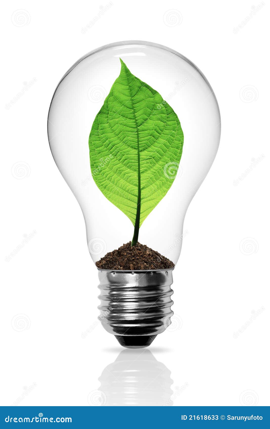 Leaves Grow in a Light Bulb Stock Illustration - Illustration of ...