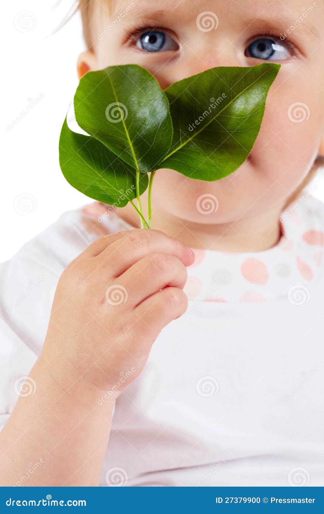 Leaves in hand stock photo. Image of fragile, botany - 27379900