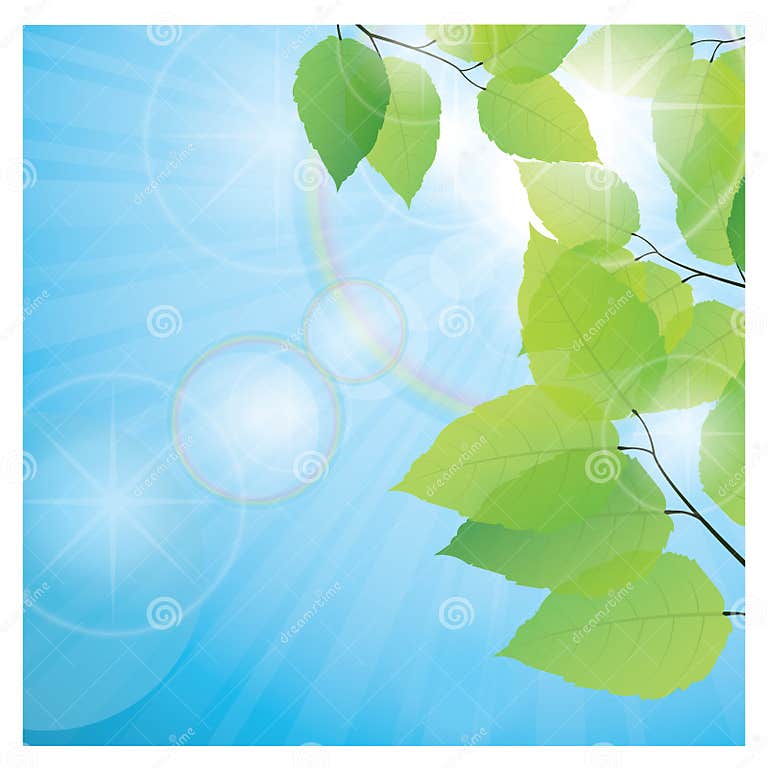 Leaves Hanging from Tree. Vector Illustration Decorative Design Stock ...