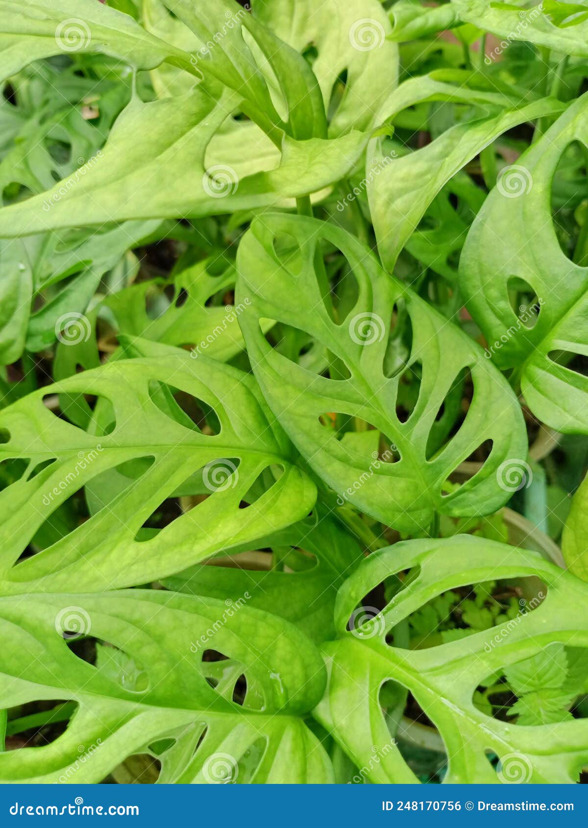 Hollow Structure Of A Mill Building Royalty-Free Stock Photography ...