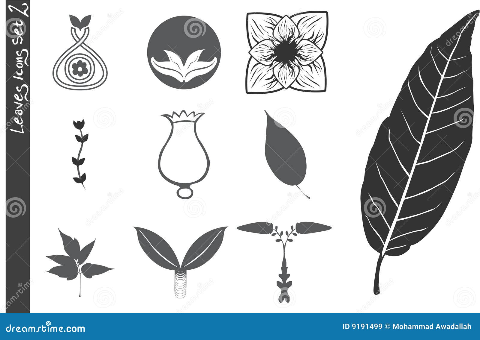 Leaves Icons Set 2 stock vector. Illustration of isolate - 9191499