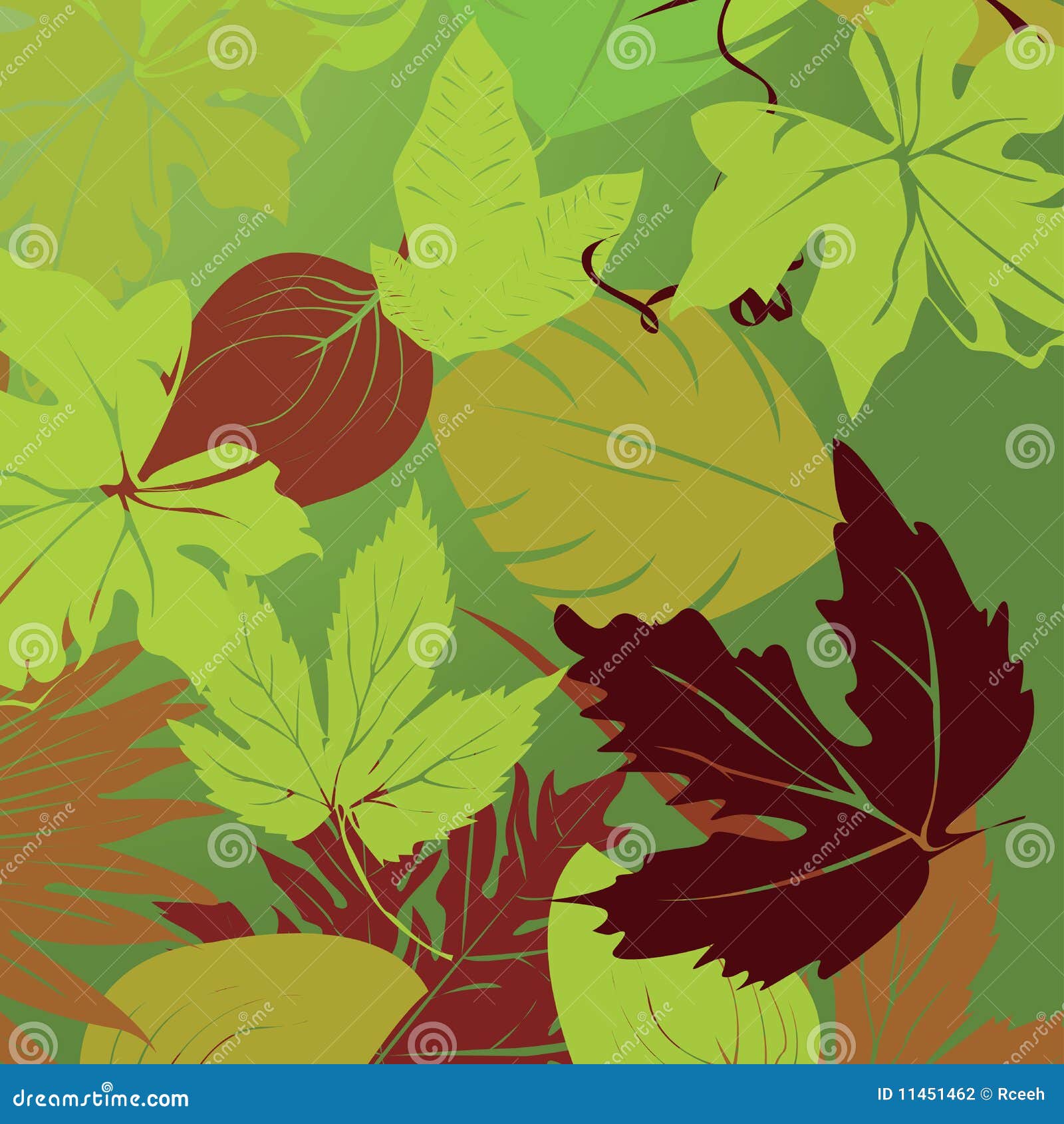 Leaves illustration stock vector. Illustration of isolated - 11451462