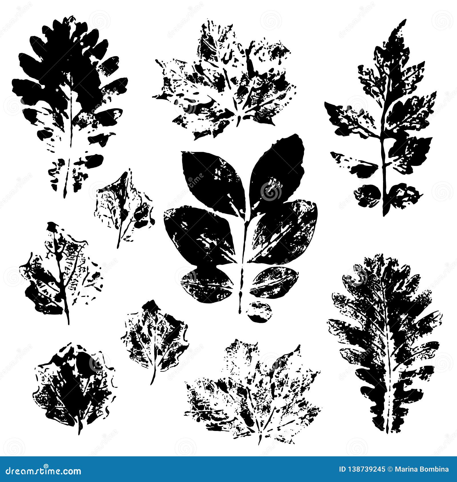 Leaves Imprints Set Isolated on White Background. Vector Illustration ...