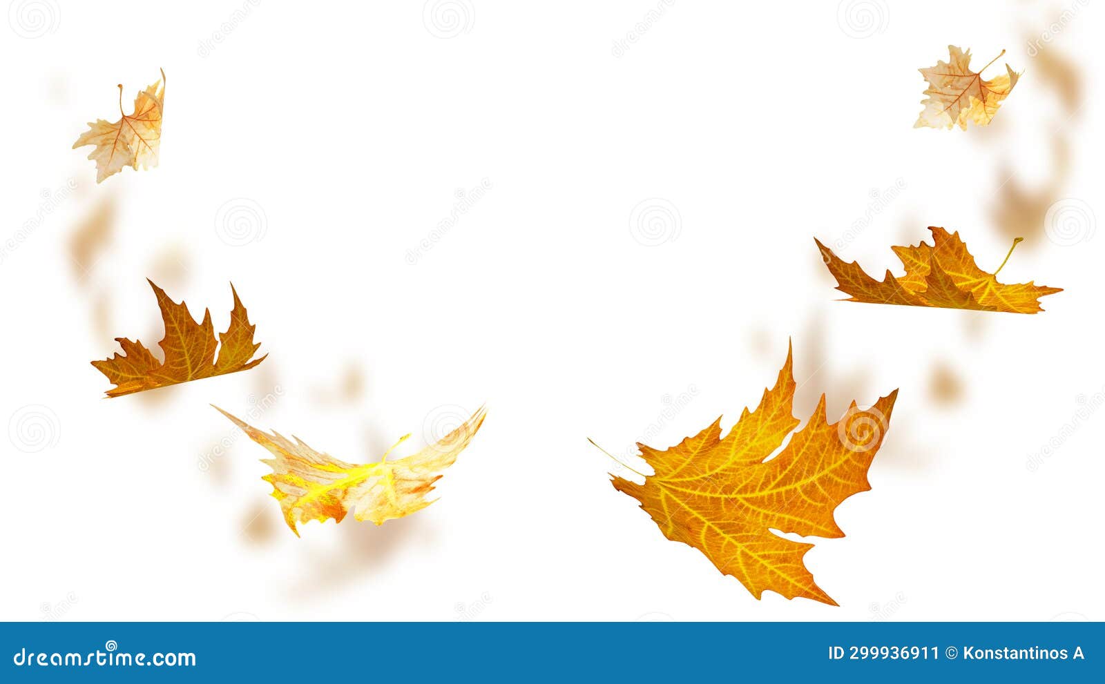 Leaves Leaf Falling Fall Isolated for Background Stock Illustration ...