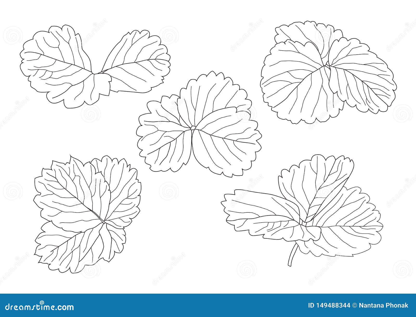 Leaves Line Single Leaf and Leaf Pattern Black Bring To Color Decorate ...