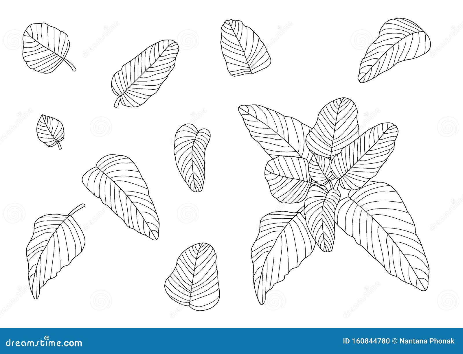 Leaves Line Single Leaf and Leaf Pattern Black Bring To Color Decorate ...