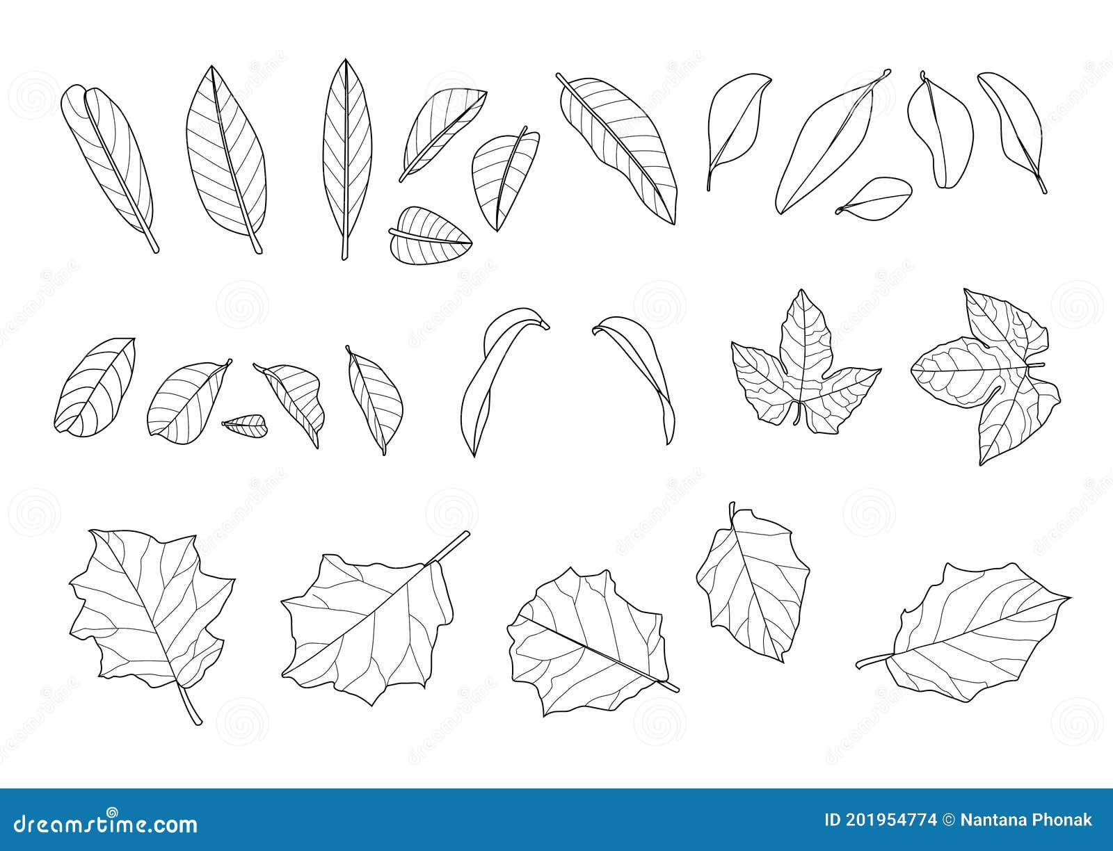 Leaves Line Single Leaf and Leaf Pattern Black Bring To Color Decorate ...