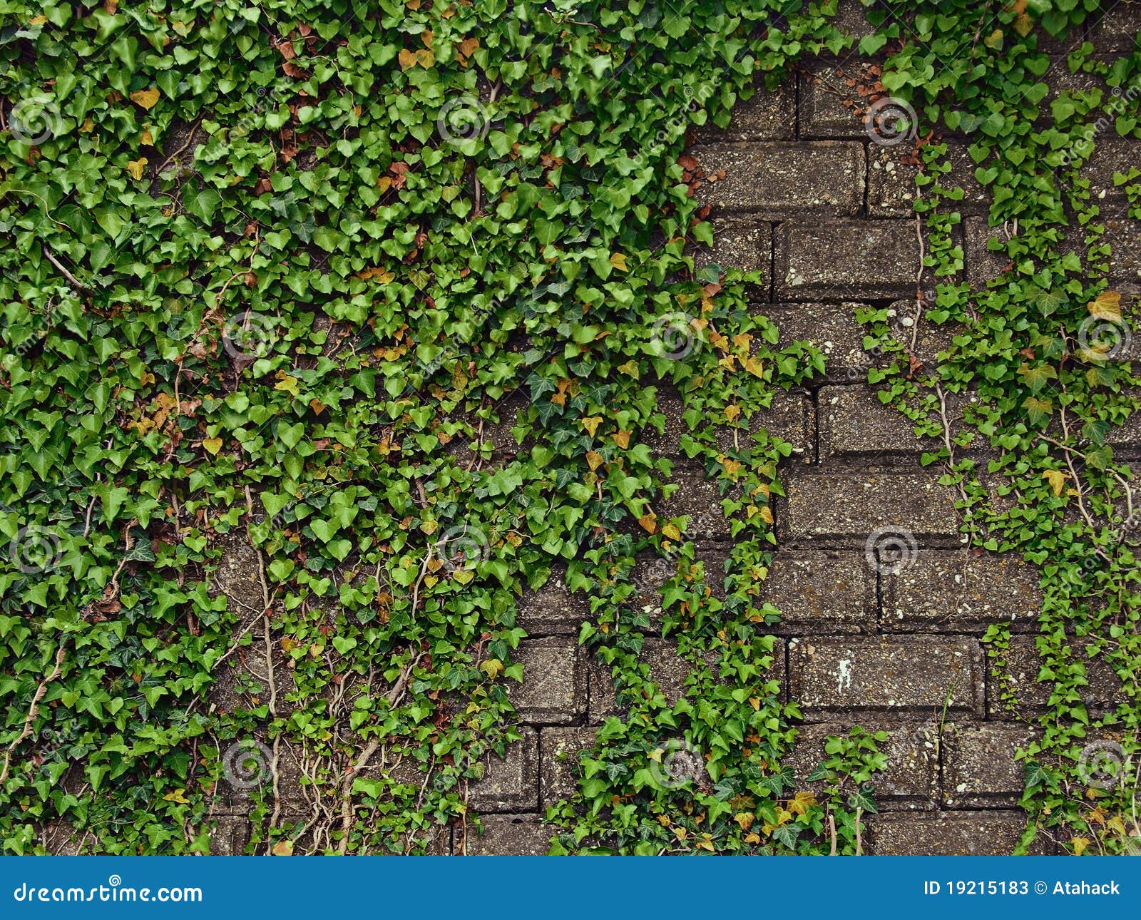 Medieval Map On The Wall. Royalty-Free Stock Image | CartoonDealer.com ...