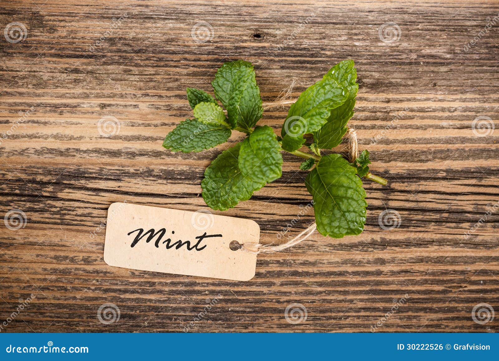 Mint with label stock photo. Image of plant, herb, leaves - 30222526