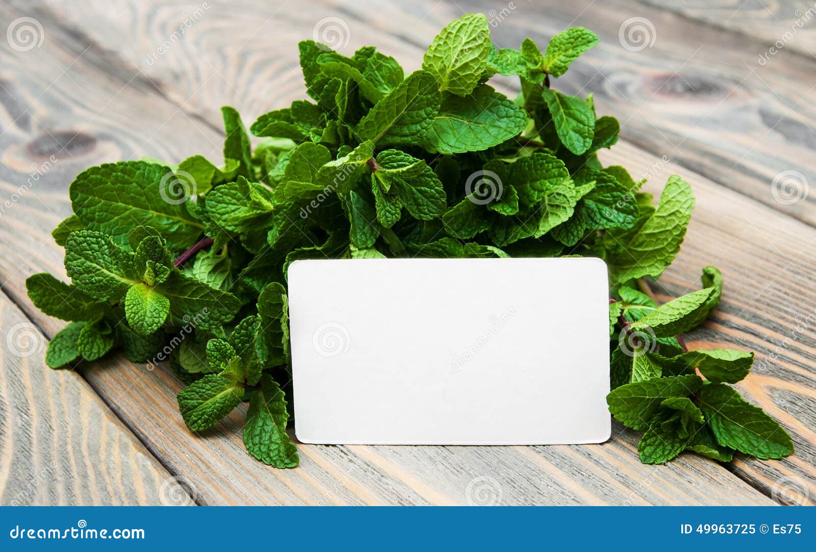 Leaves of mint with label stock image. Image of lifestyle - 49963725