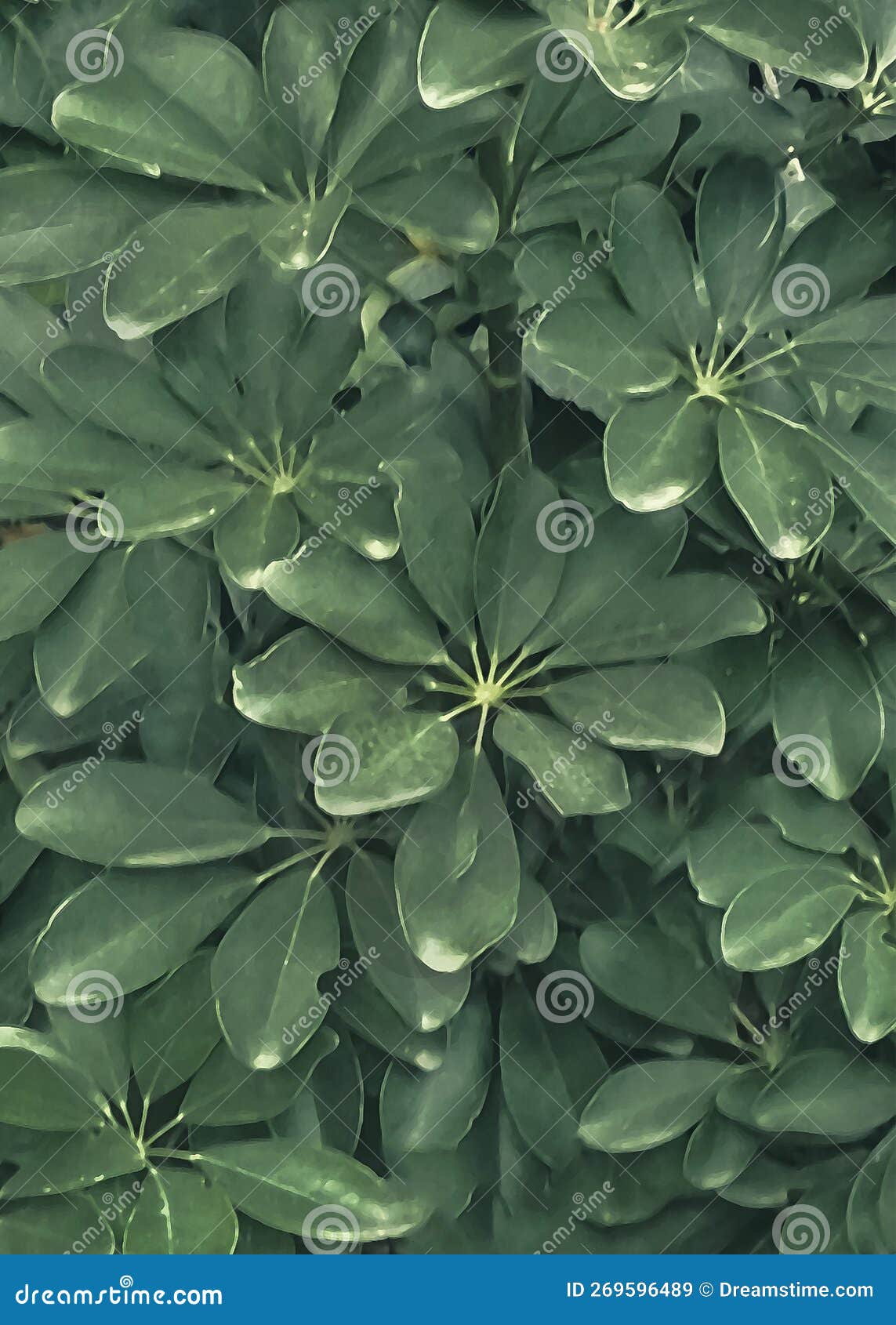 Leaves Mixed Background Photo Stock Image - Image of flora, types ...