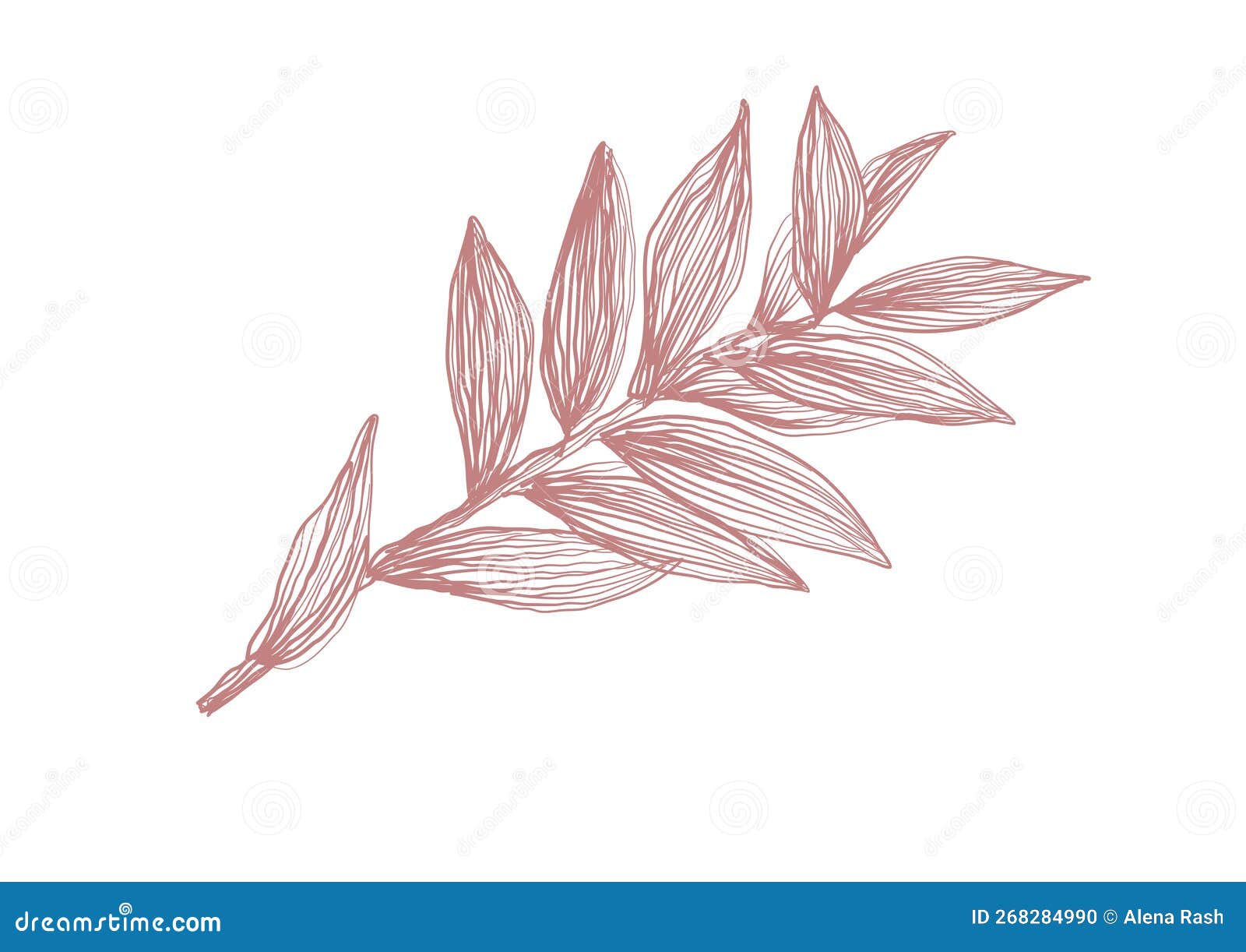 Leaves Olive Leaf Vector Illustration Collection Calligraphy Posters ...